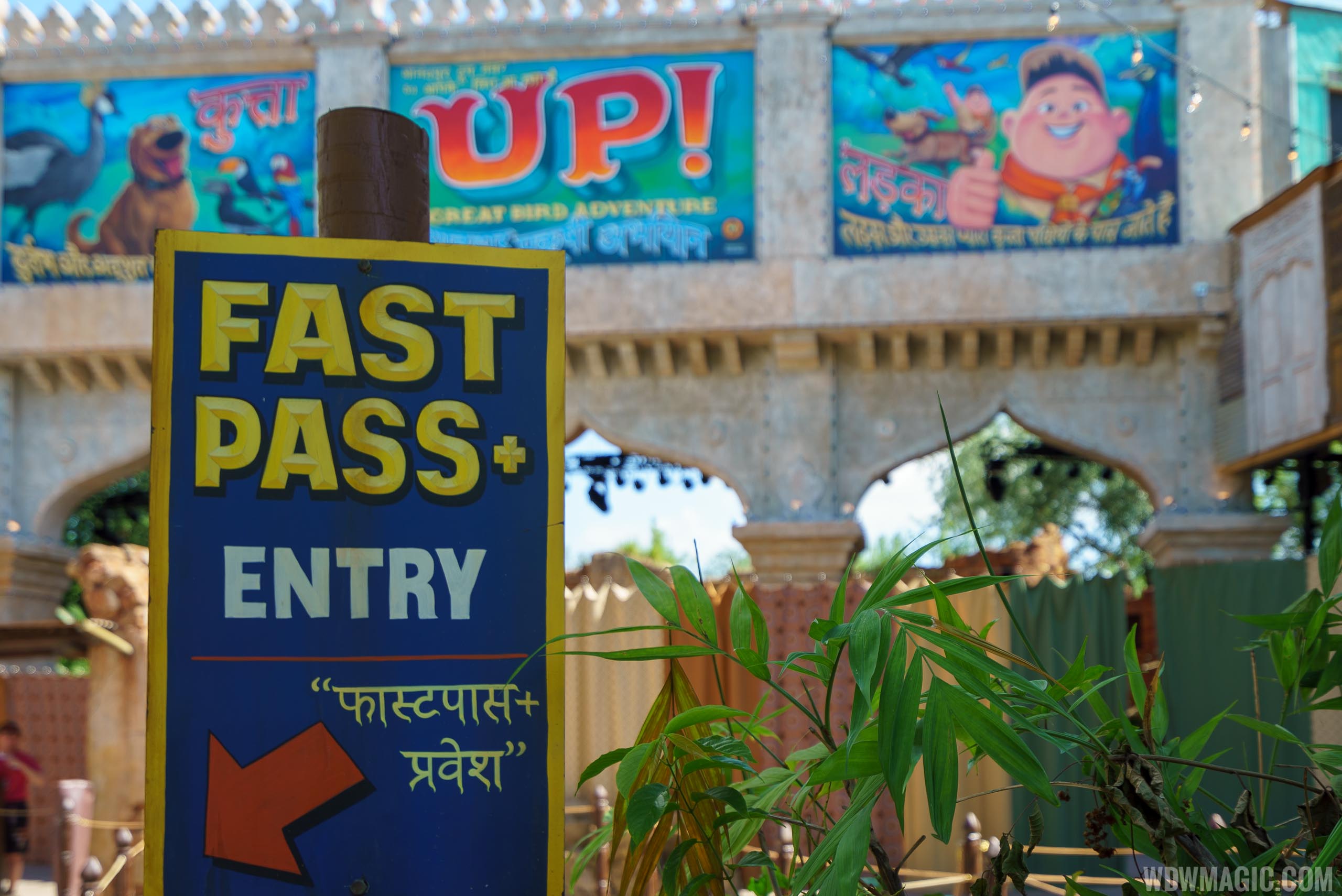 UP! A Great Bird Adventure Videos