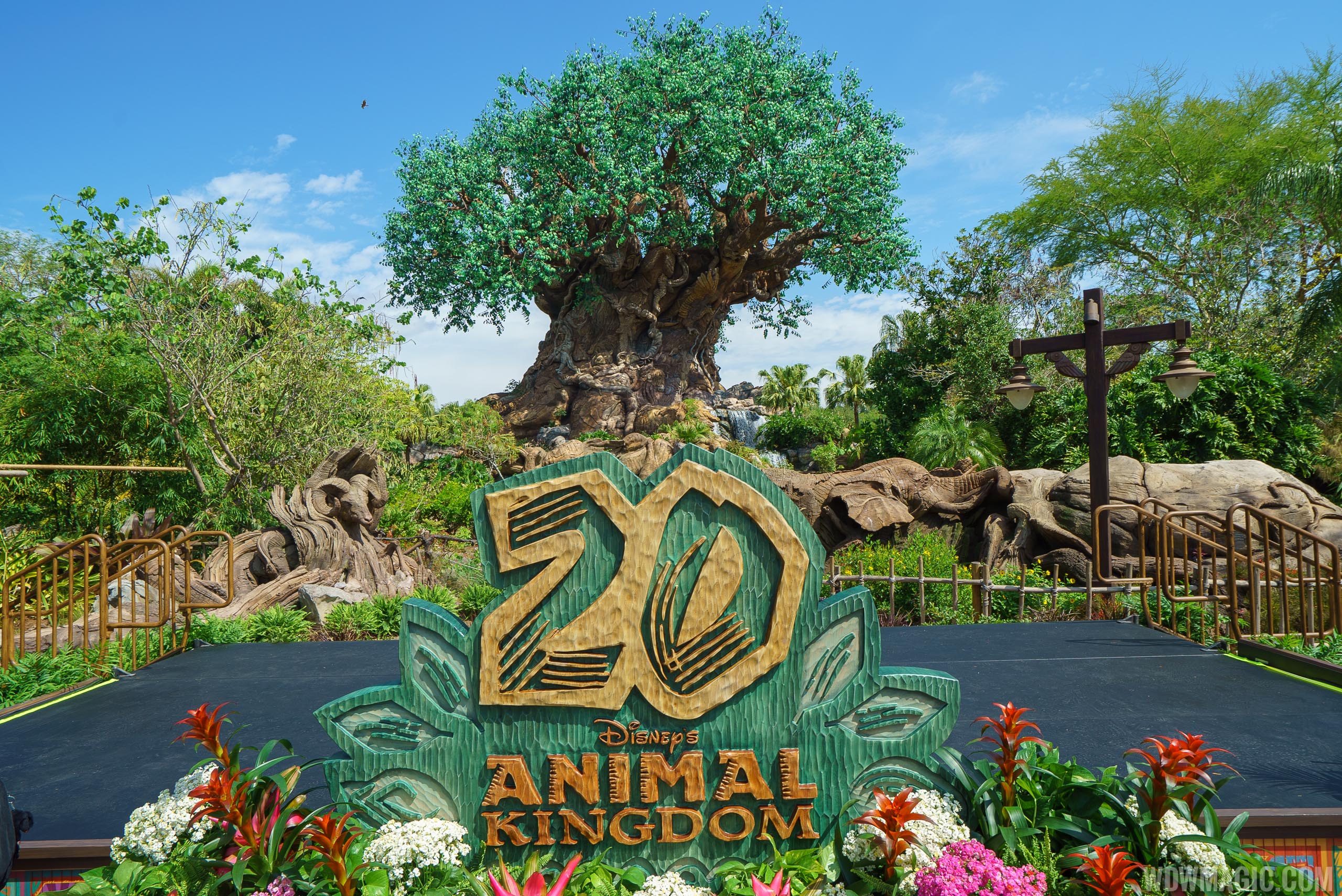 Disney's Animal Kingdom celebrates 20 years years of adventure