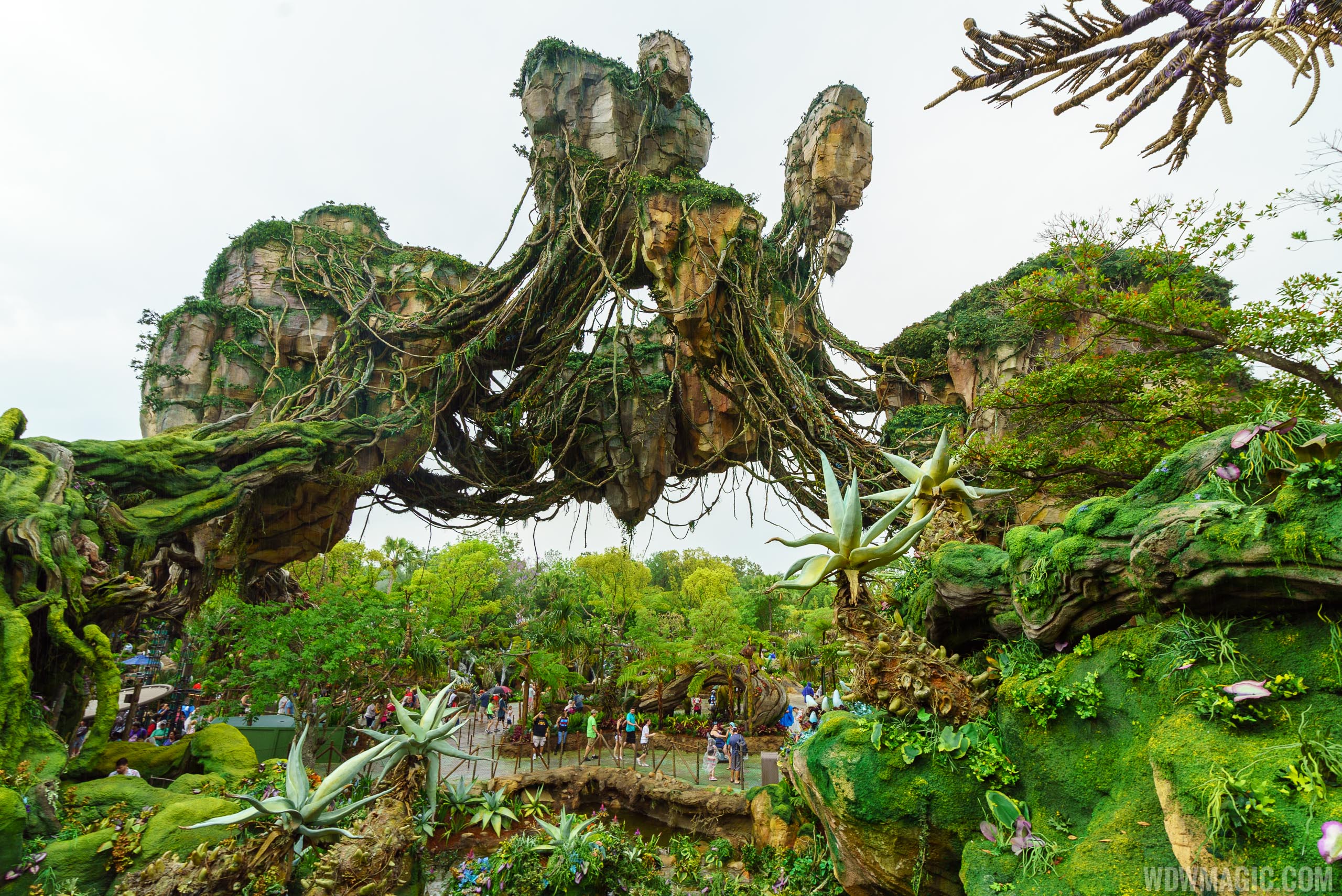 REVIEW - Avatar Flight of Passage
