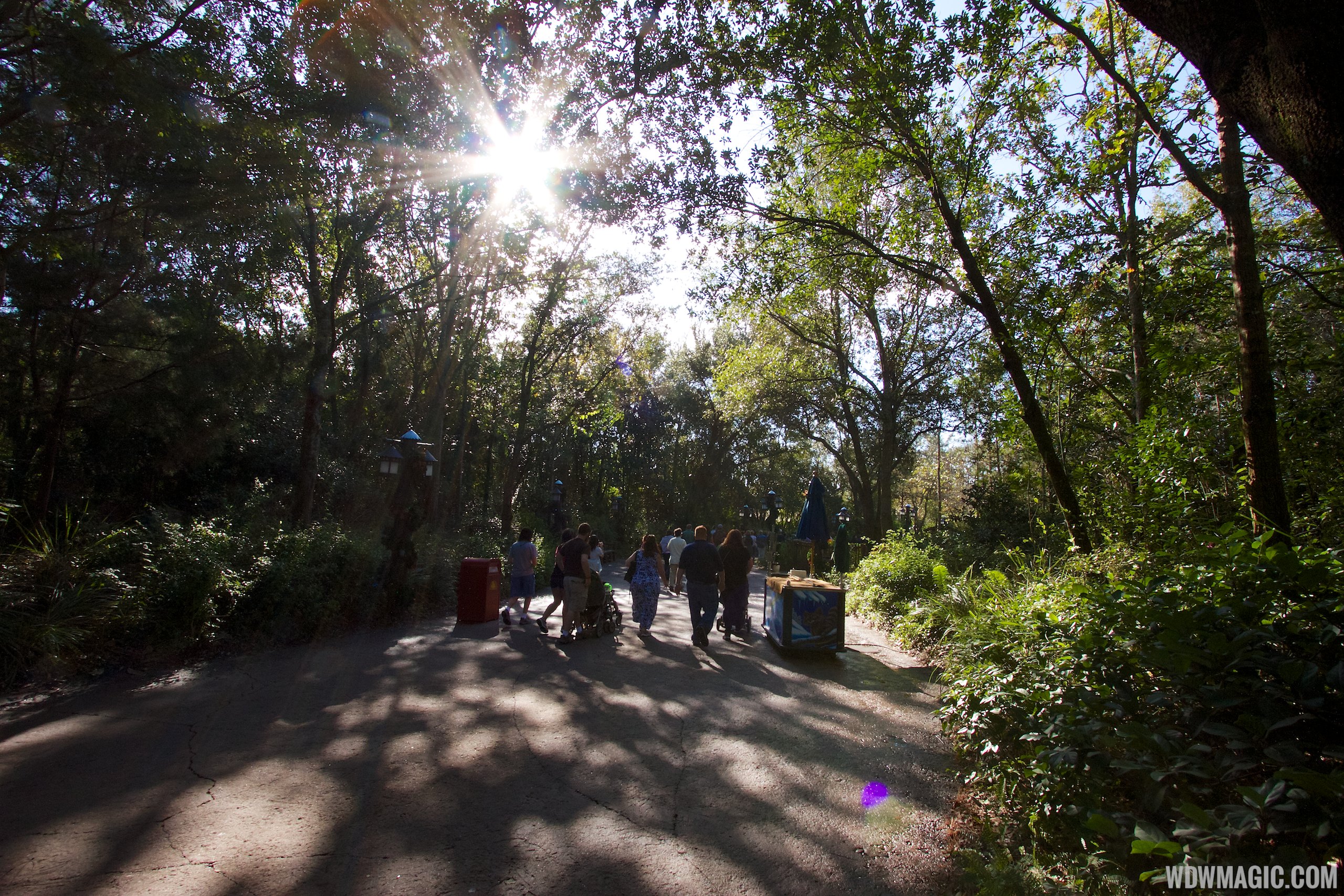 PHOTOS and VIDEO - A final walk through Camp Minnie-Mickey