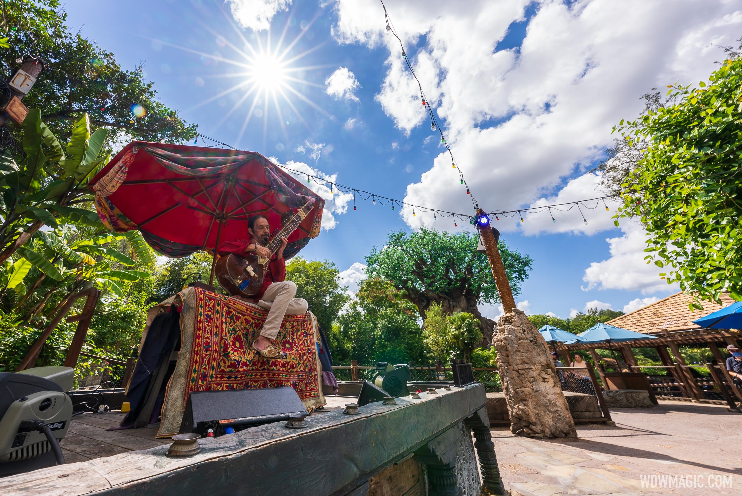 Live music returns to Anandapur at Disney's Animal Kingdom with ...