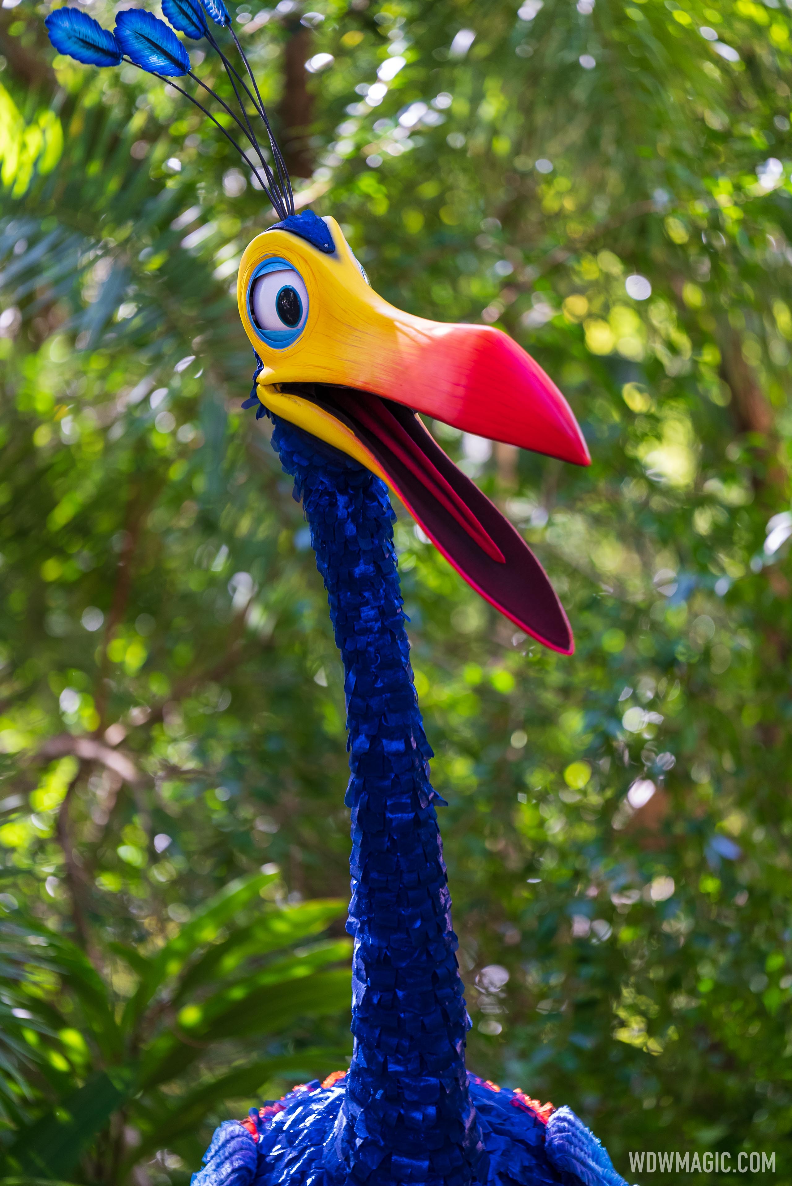 Kevin from Disney Pixar's Up February 2022 - Photo 5 of 11