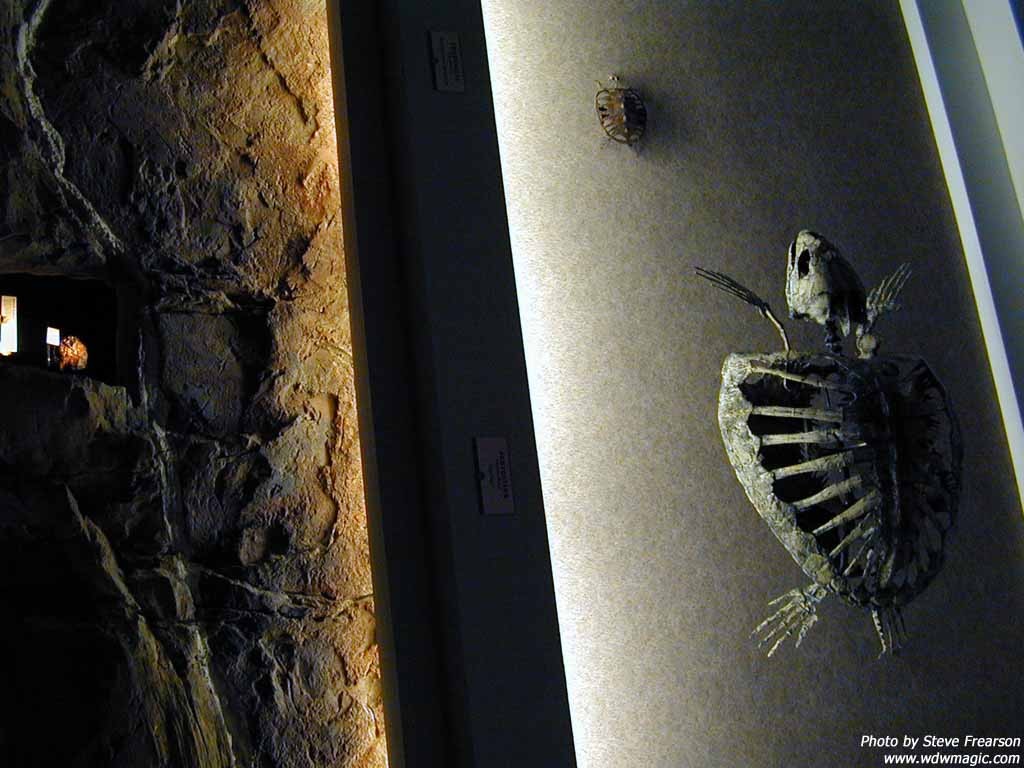 Countdown to Extinction photos - Photo 11 of 26