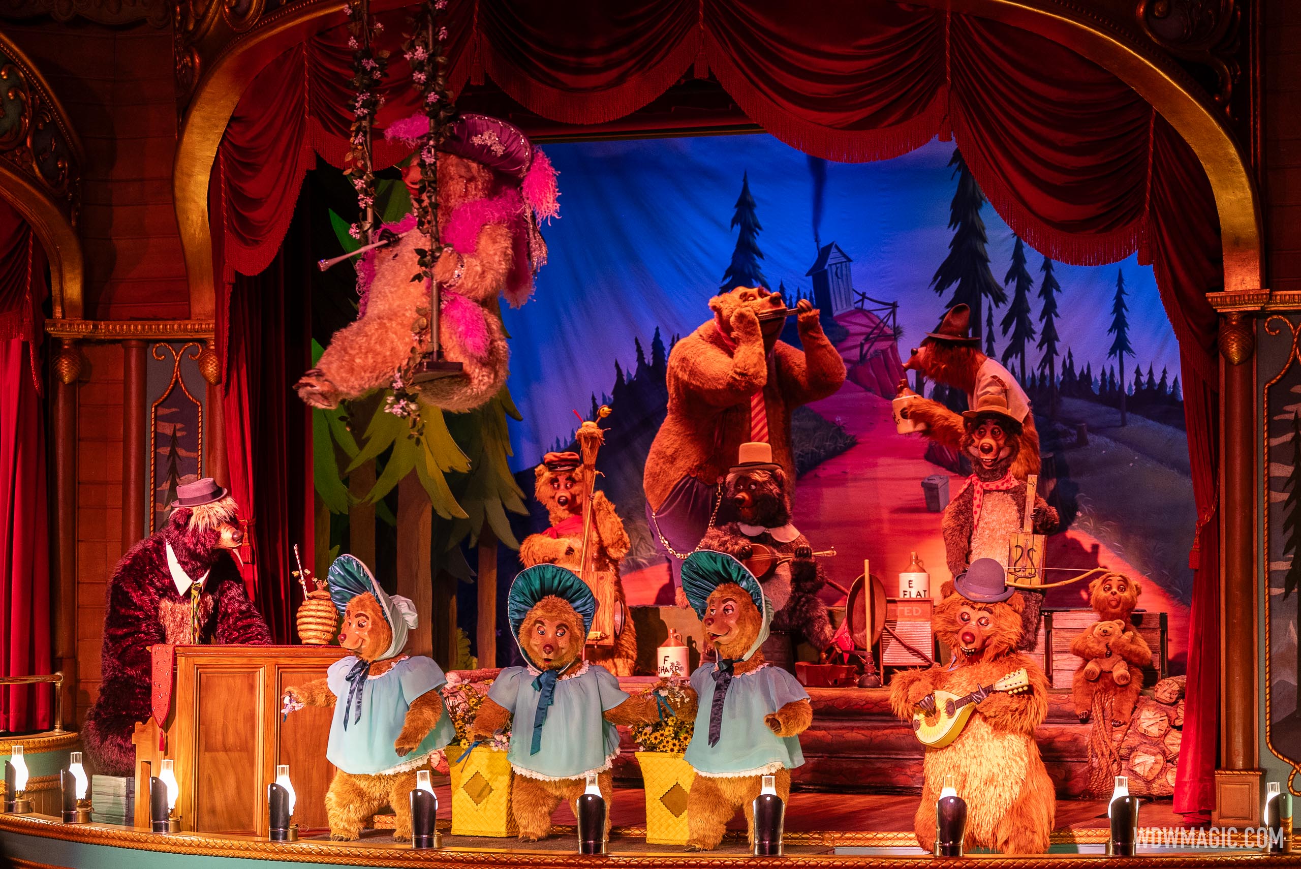 Country Bear Jamboree show January 2024 - Photo 20 of 22