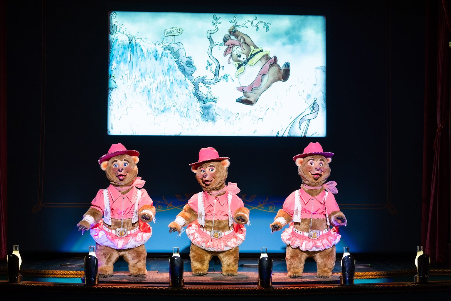 Country Bear Musical Jamboree characters - Photo 6 of 17