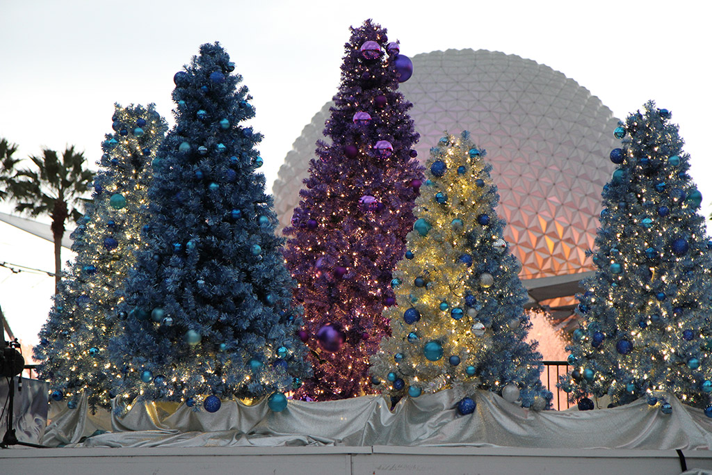 D'Vine stage decorations - Photo 4 of 6