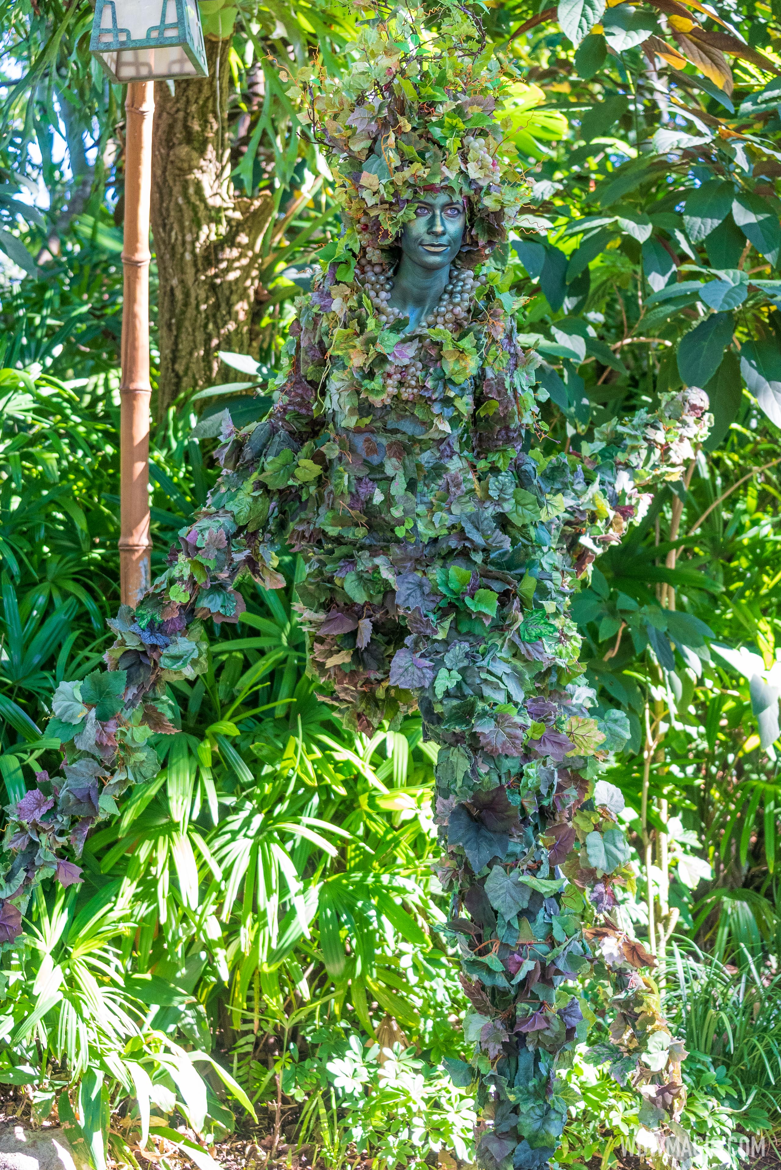 DiVine at Disney's Animal Kingdom November 2021 - Photo 13 of 14
