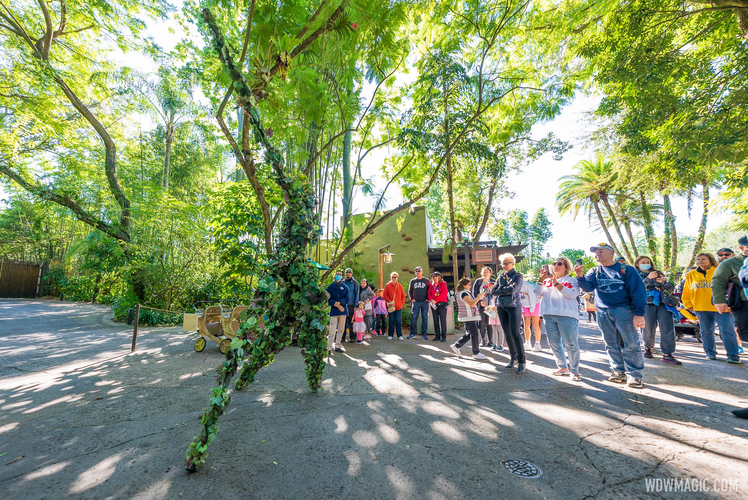 DiVine returns to Disney's Animal Kingdom