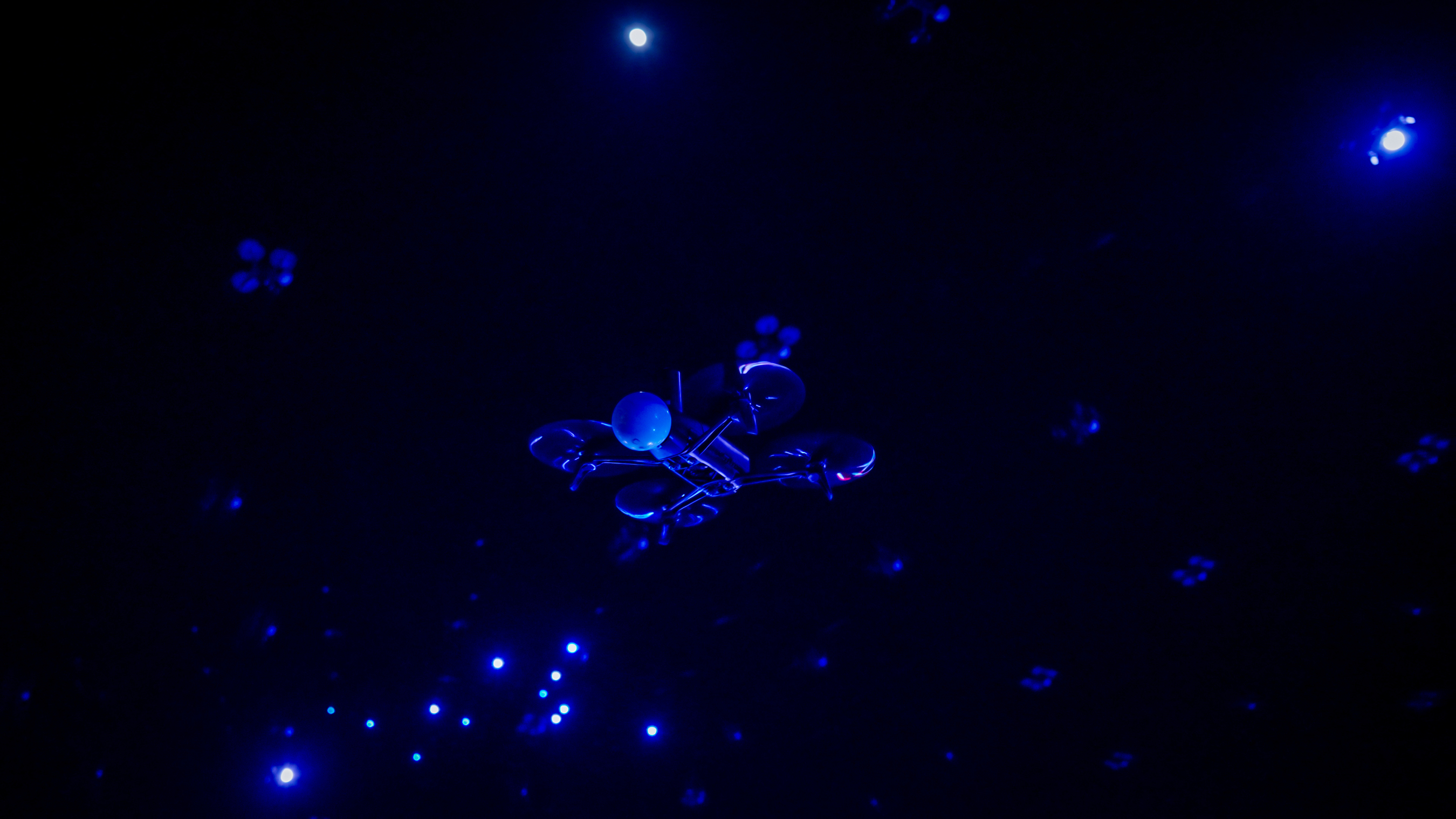 Disney Dreams that Soar Drone Show preview - Photo 15 of 15