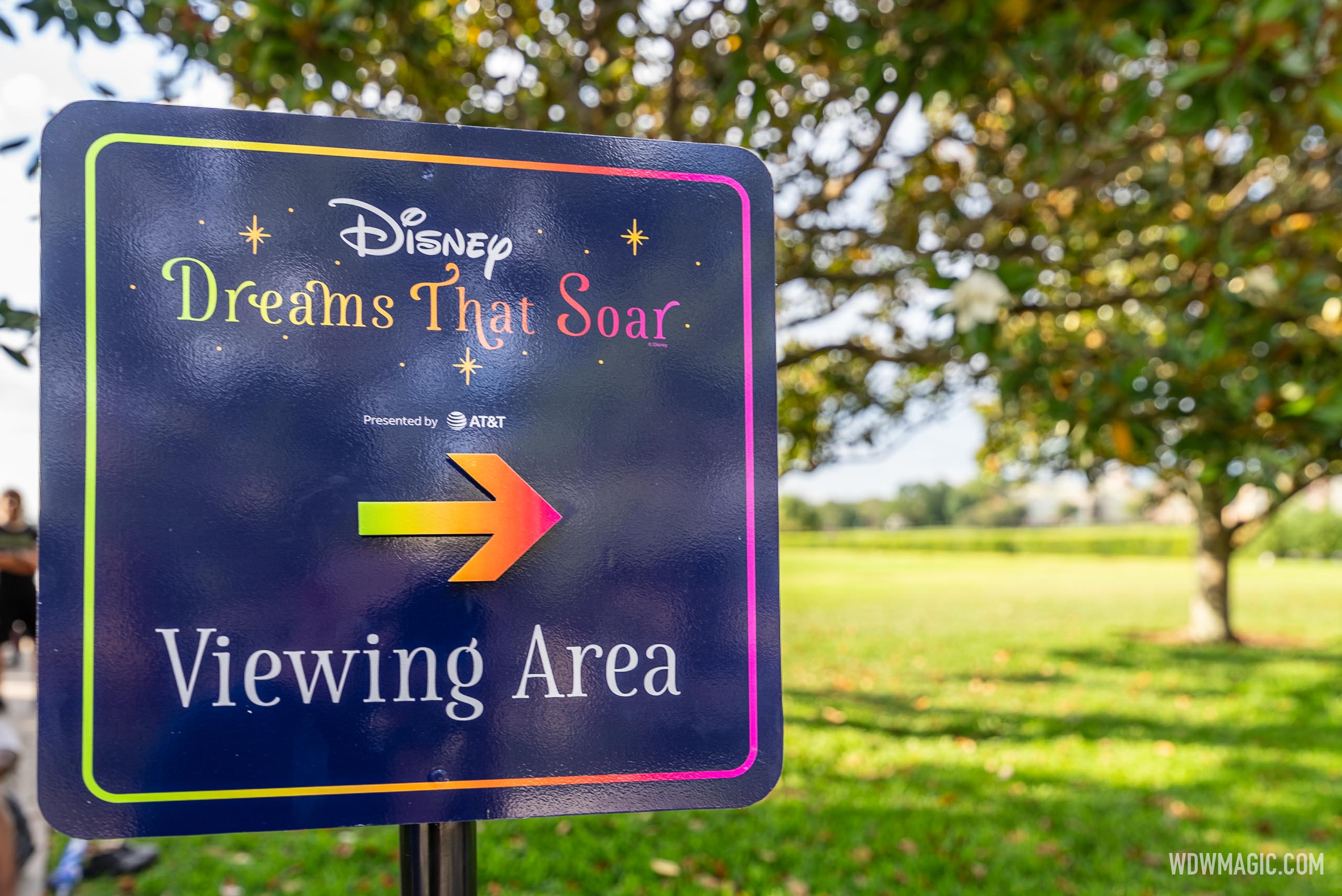 Disney Dreams That Soar viewing areas and queue