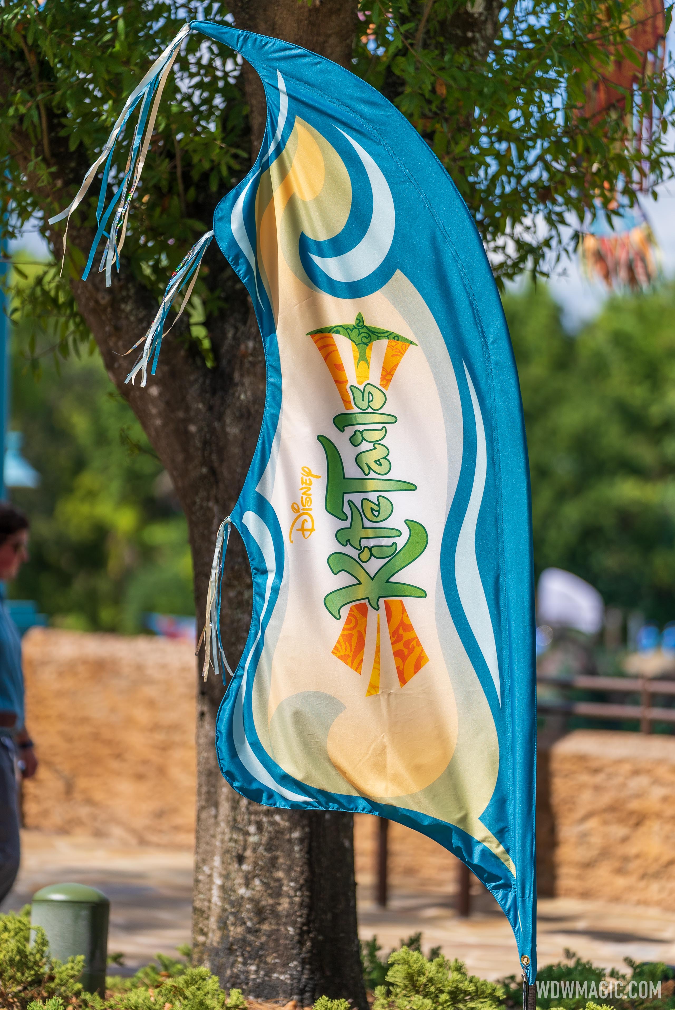 Disney KiteTails Lion King show - Photo 2 of 41