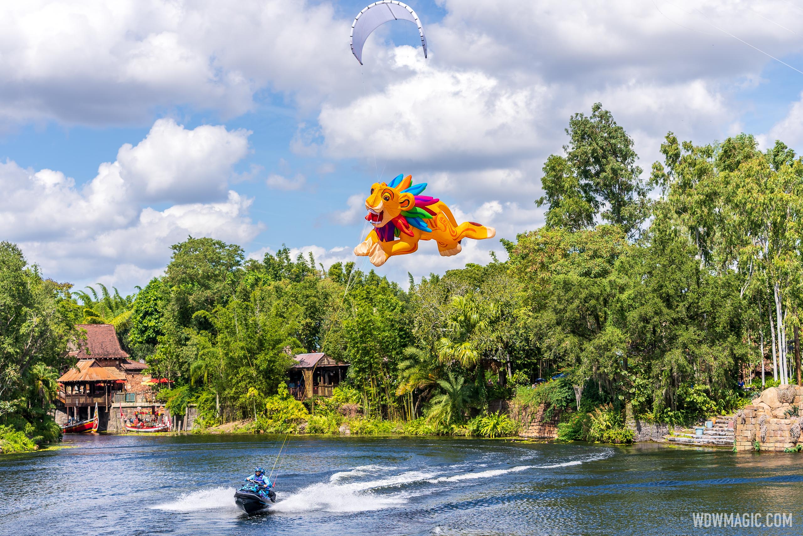 Disney KiteTails Lion King show - Photo 25 of 41