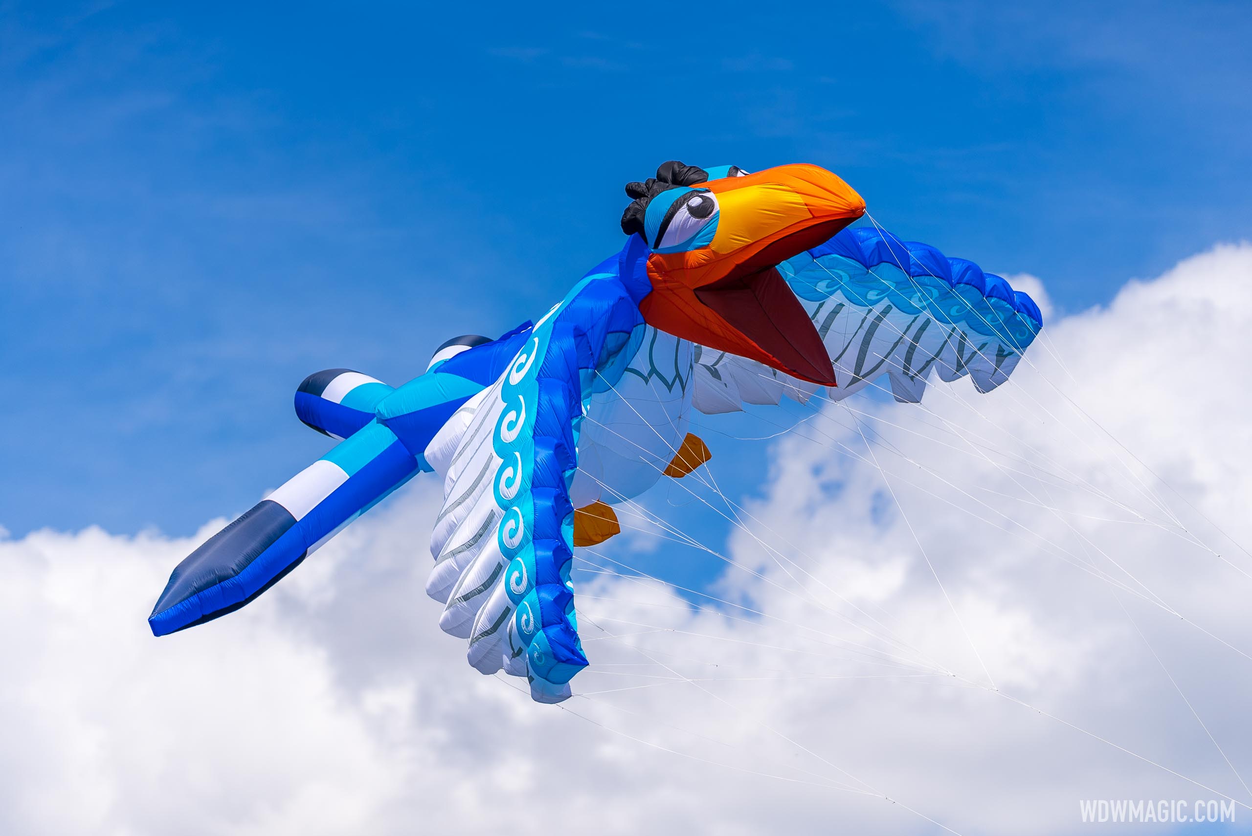 Disney KiteTails Lion King show - Photo 30 of 41