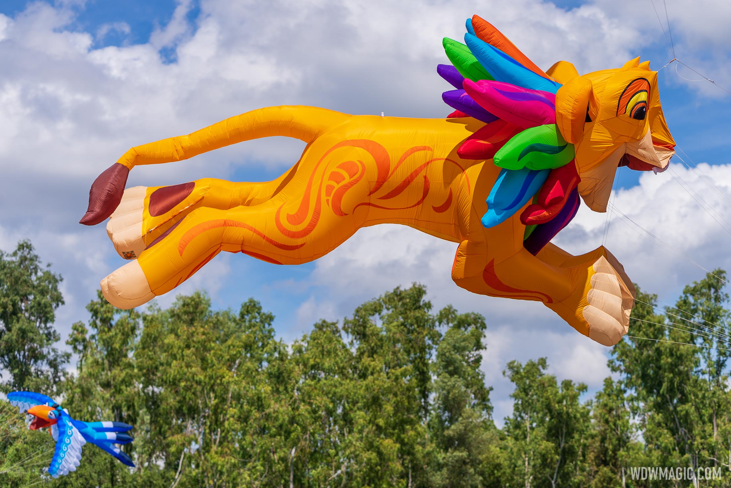 Disney KiteTails Lion King show - Photo 34 of 41