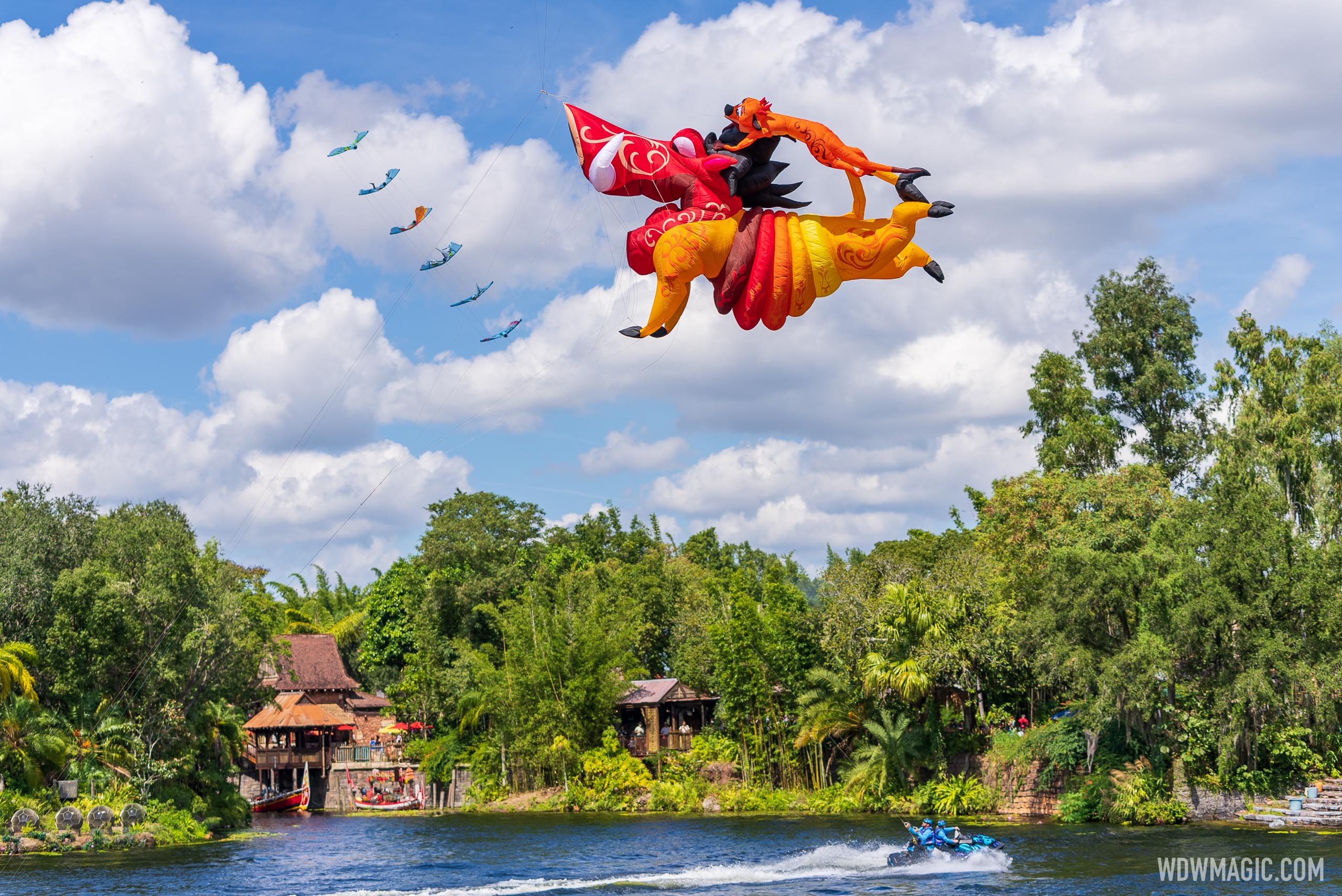 Disney KiteTails Lion King show - Photo 37 of 41