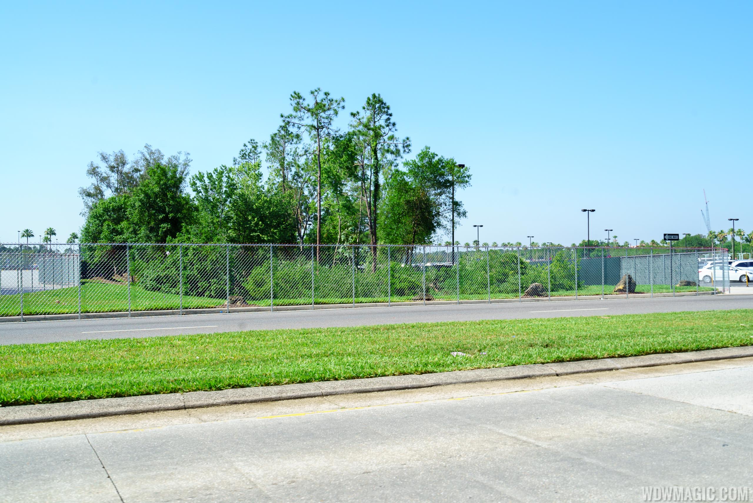 PHOTOS - Construction fences and tree clearing underway in the guest ...
