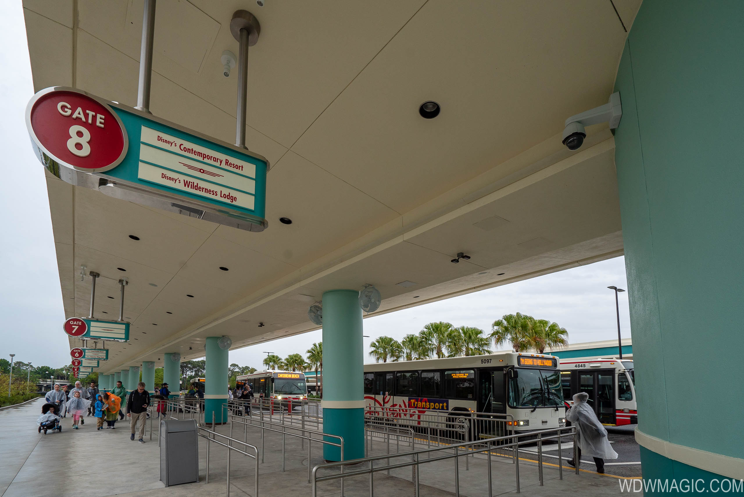 New resort bus loops at Disney's Hollywood Studios - Photo 4 of 9