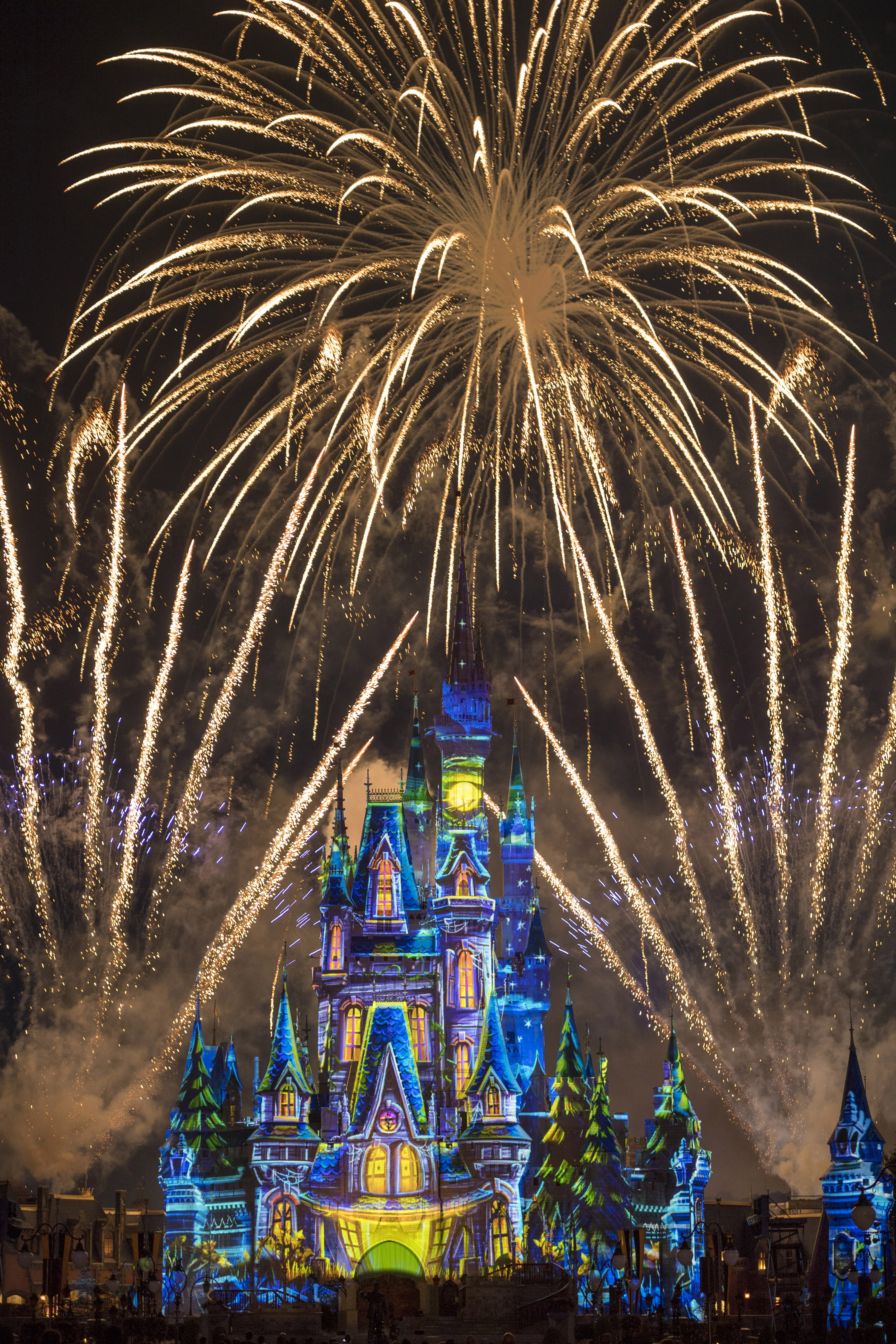 Disney's Not So Spooky Spectacular show - Photo 4 of 9