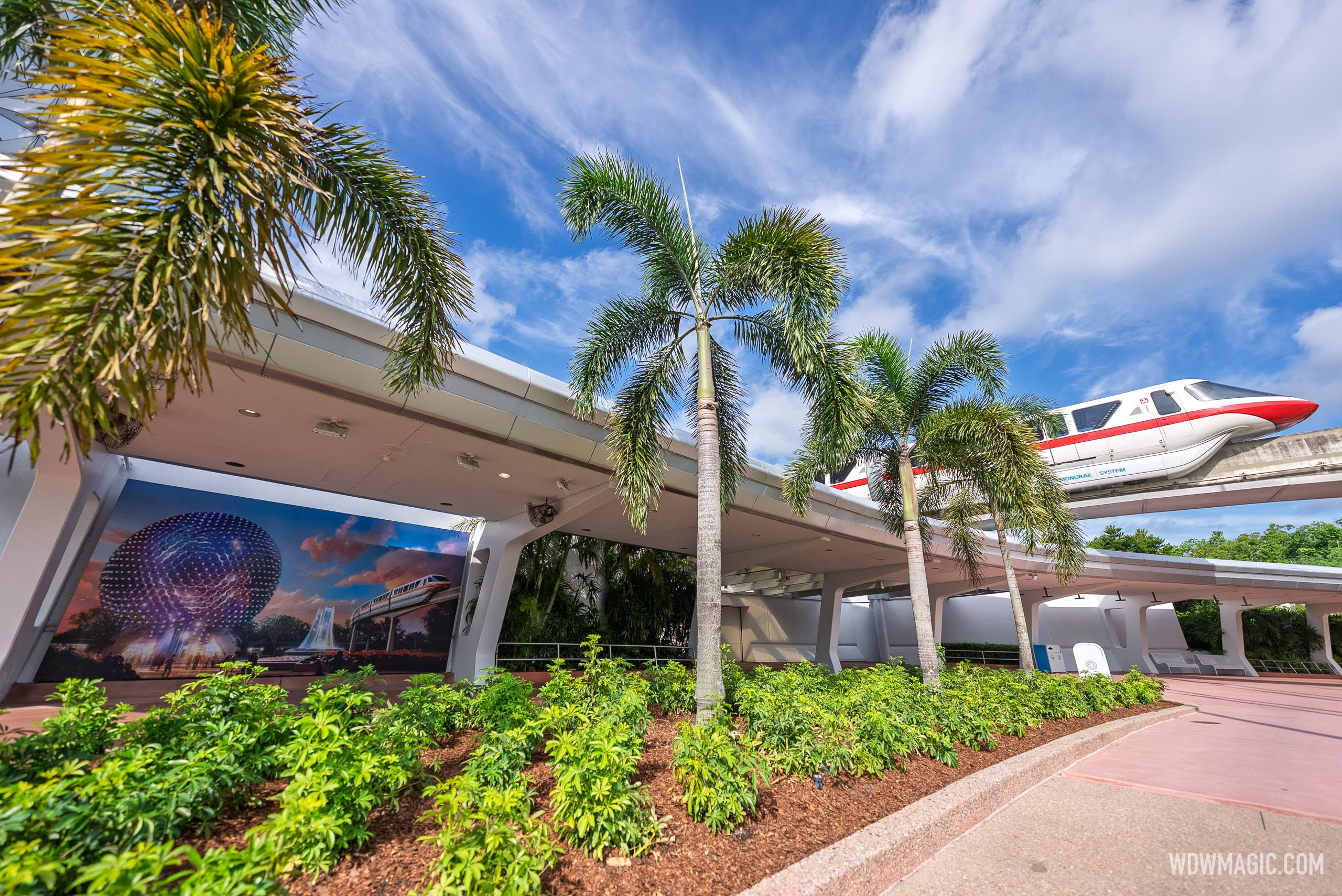 New EPCOT Main Entrance Area Landscaping and Palm Trees - Photo 4 of 8