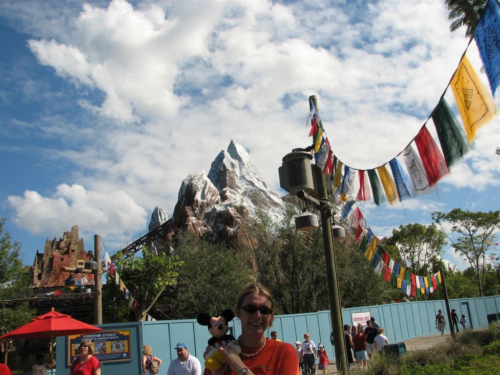 Expedition Everest construction - Photo 13 of 44