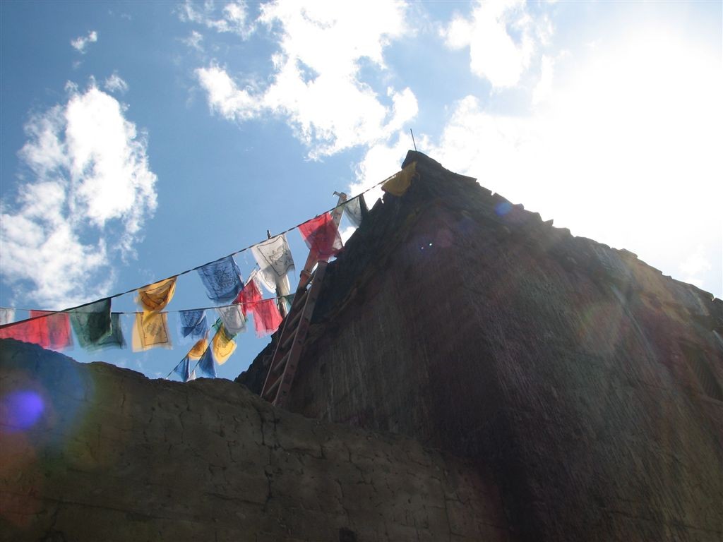 Expedition Everest construction - Photo 17 of 44