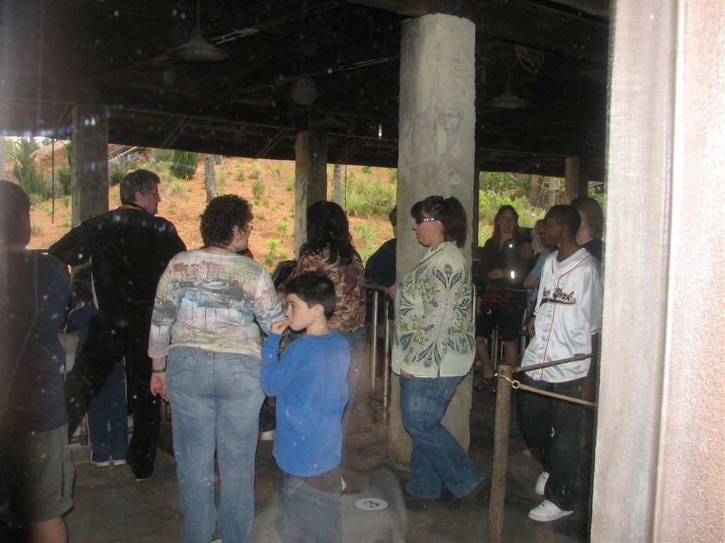 Expedition Everest queue area preview - Photo 40 of 47