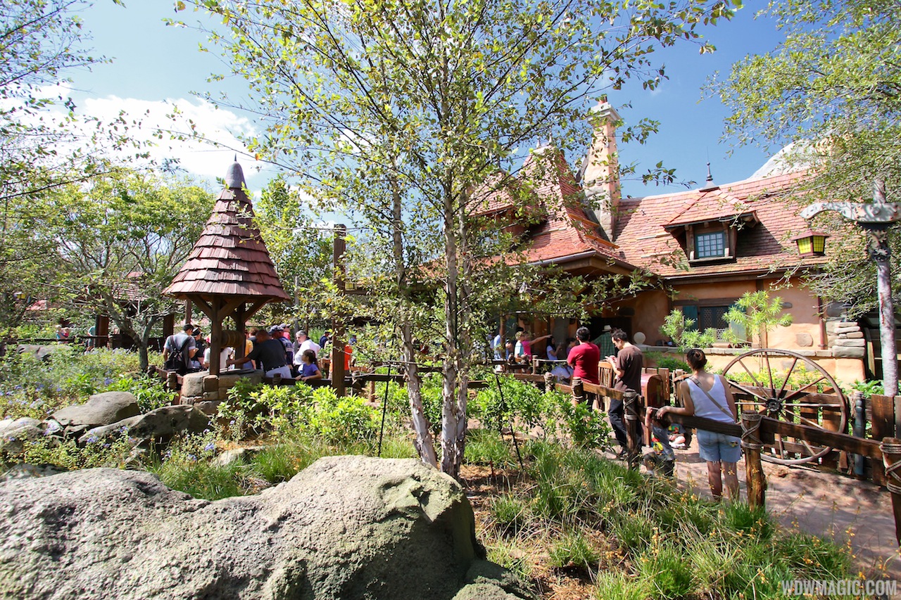 Inside the Enchanted Forest - Photo 32 of 40