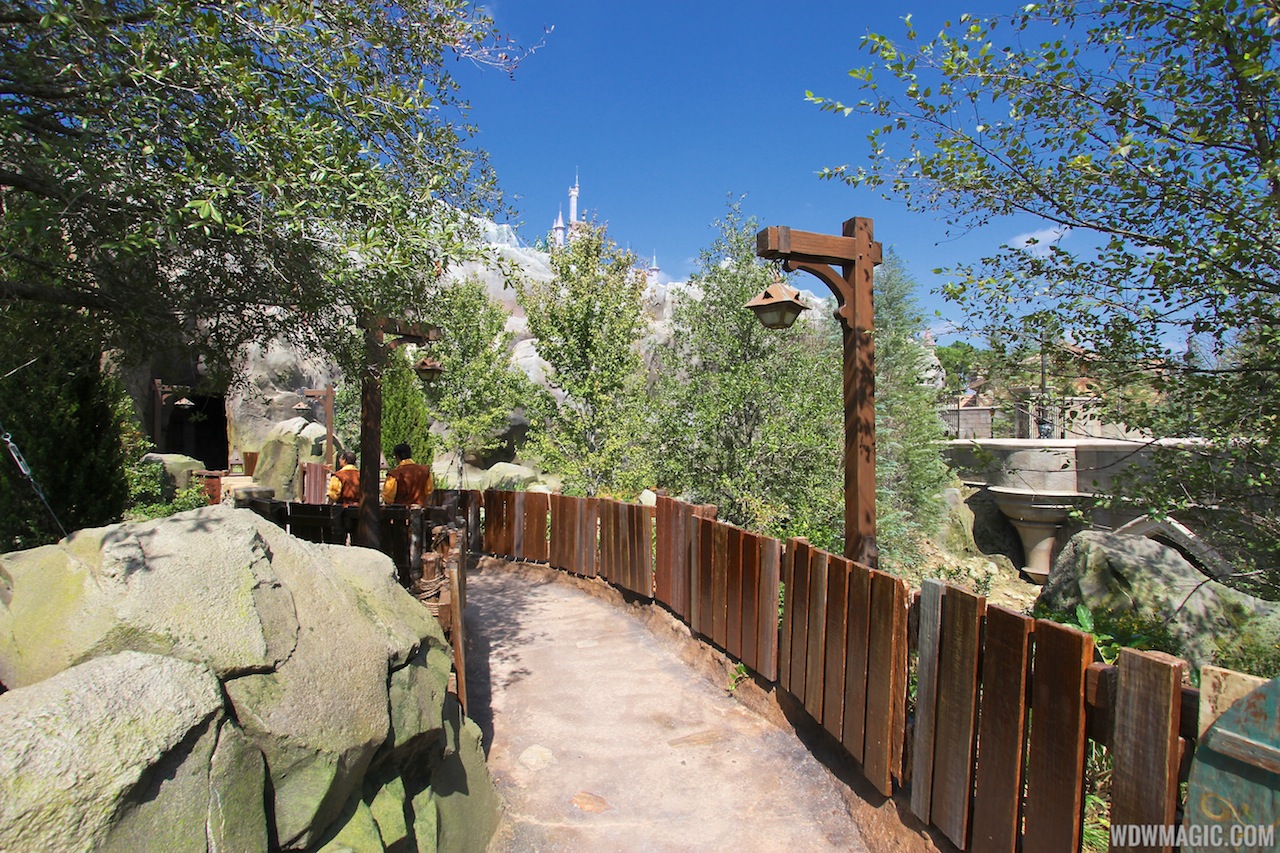 Inside the Enchanted Forest - Photo 33 of 40