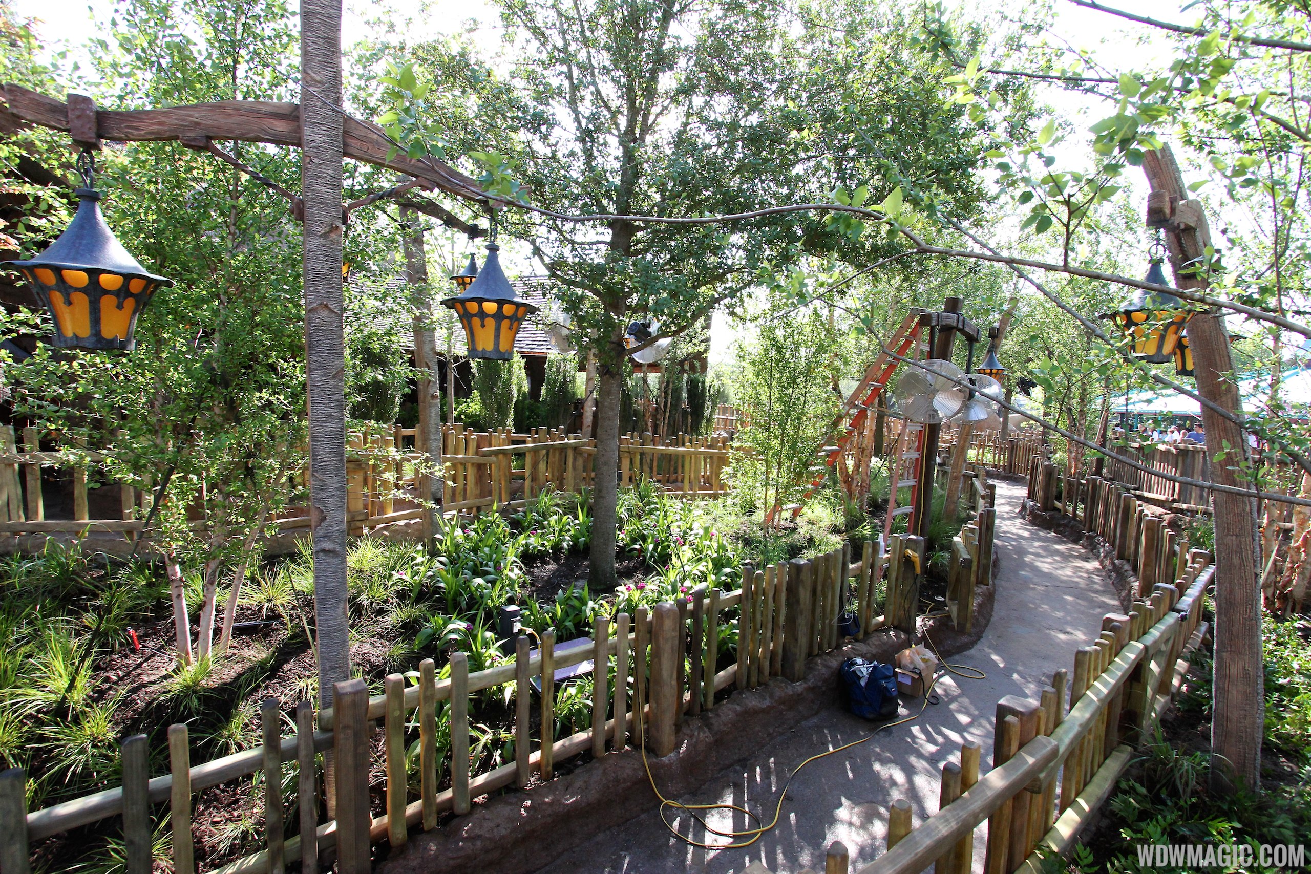 Walls down around queue at Seven Dwarfs Mine Train coaster - Photo 10 of 19