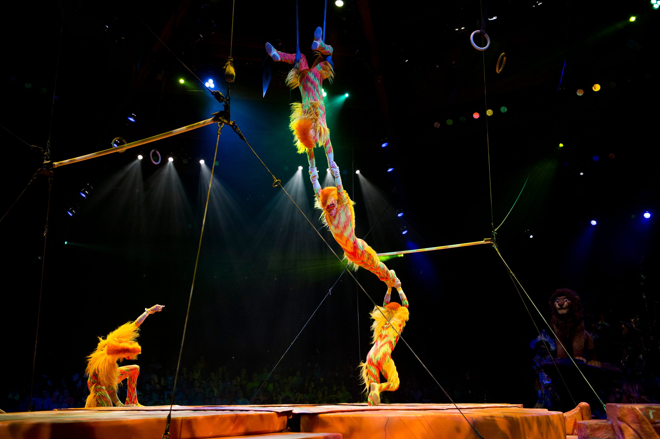 Tumble Monkeys returns to Festival of the Lion King - Photo 2 of 5