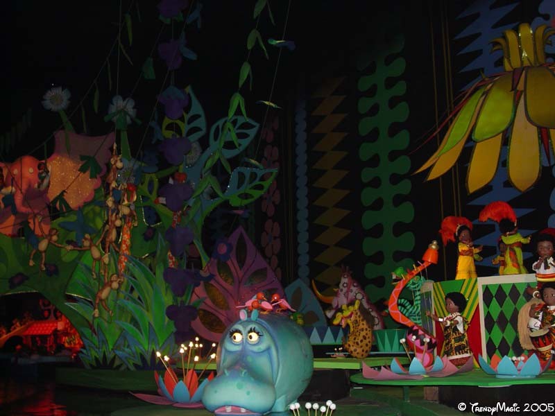 Small World reopens after extensive refurbishment - Photo 12 of 30