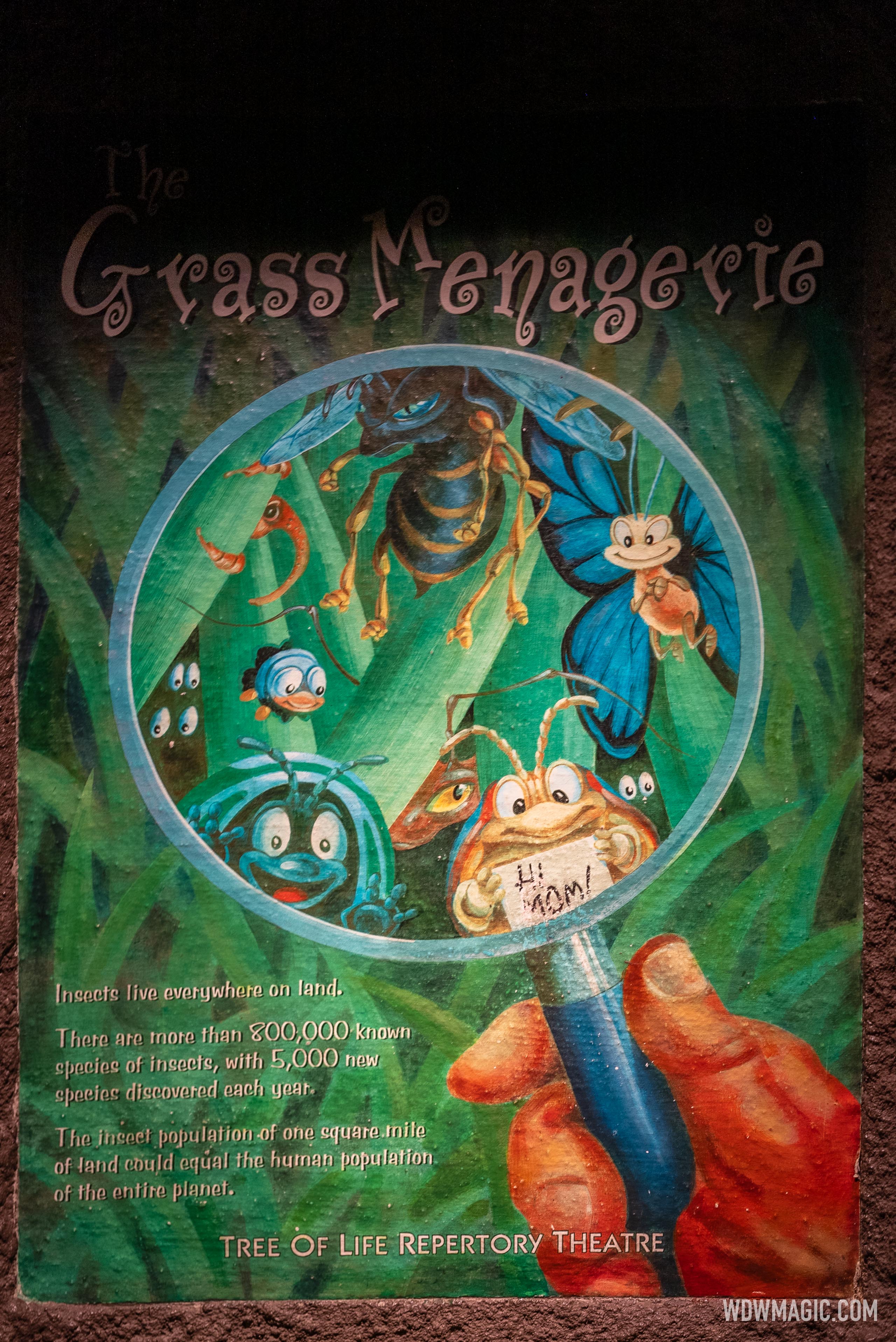 'It's Tough to be a Bug' Queue and Show - Photo 40 of 49