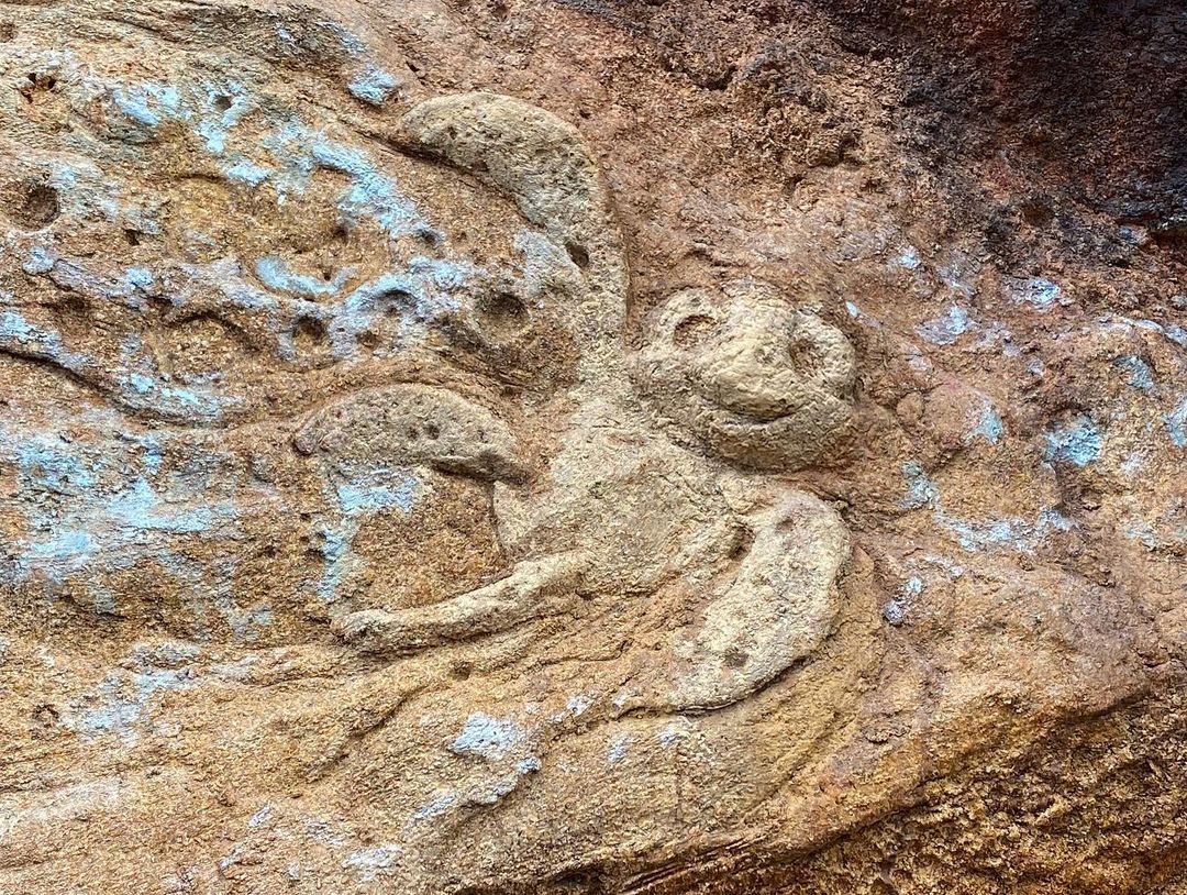 Walt Disney Imagineering shares new closeup views of Journey of Water ...