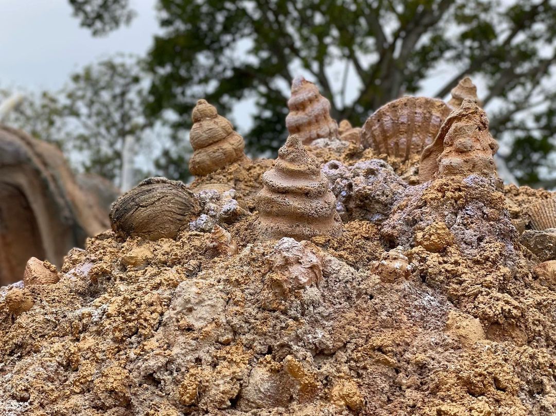 Walt Disney Imagineering shares new closeup views of Journey of Water ...