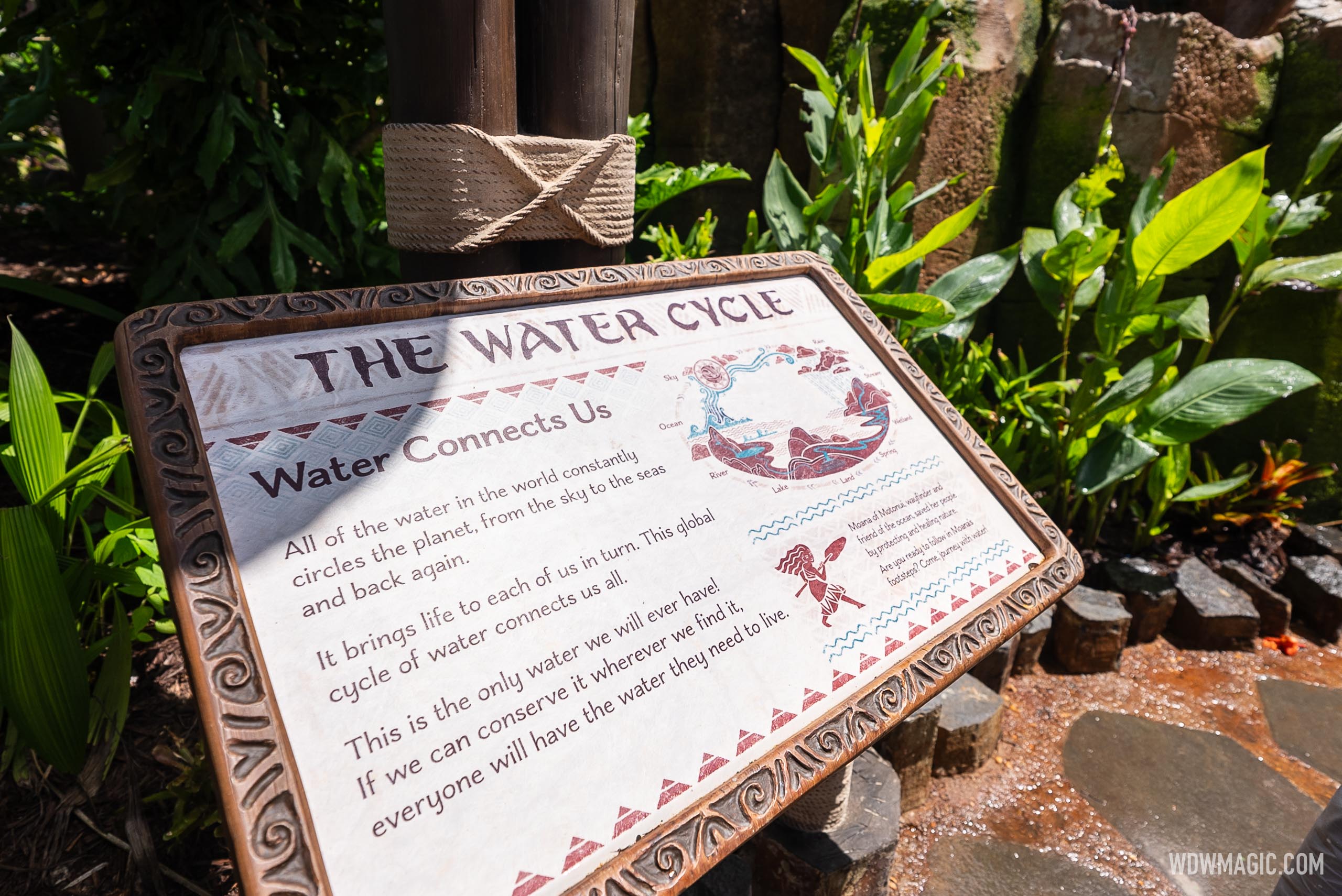 Journey of Water Inspired by Moana overview - Photo 4 of 34