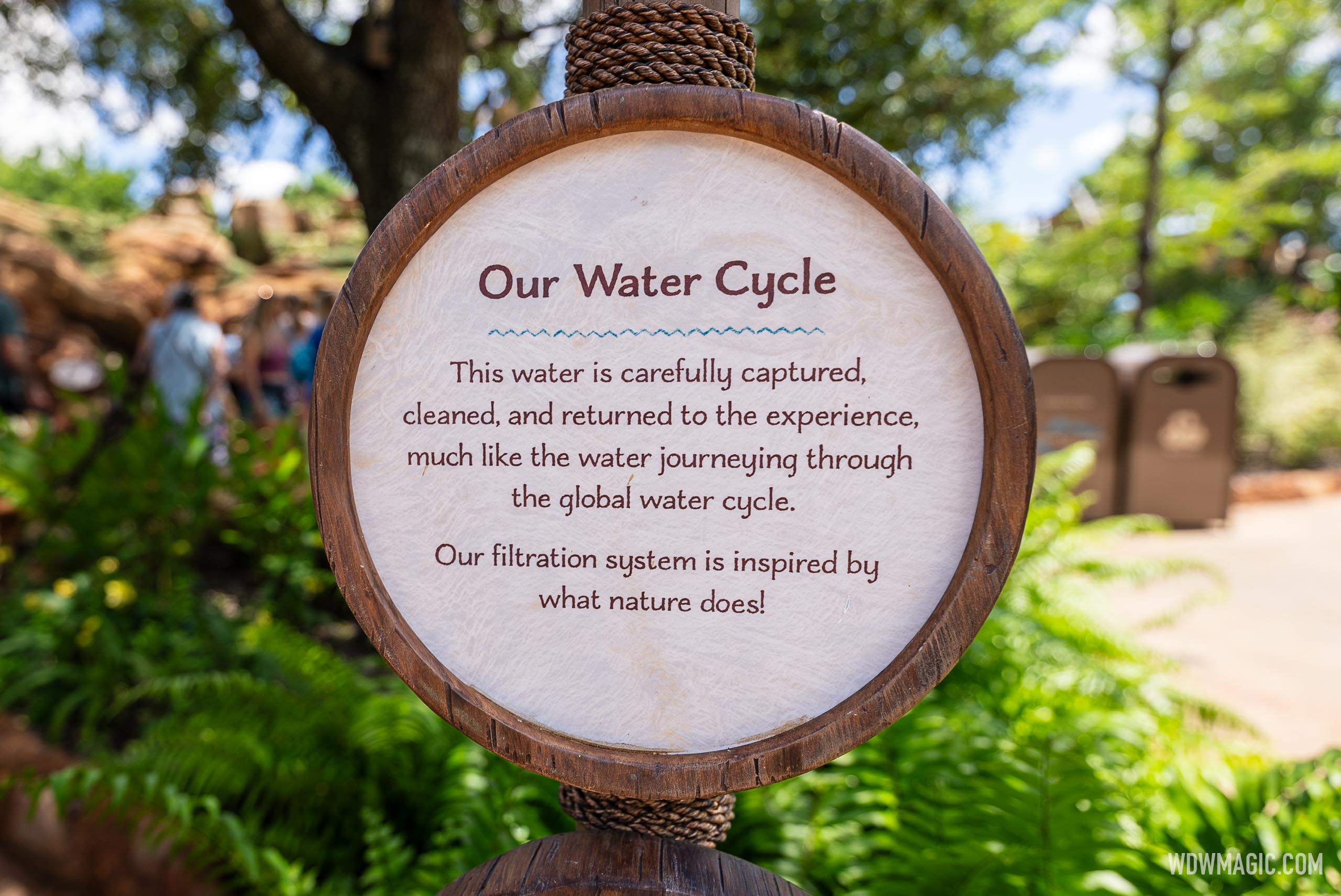 Journey of Water Inspired by Moana overview - Photo 6 of 34