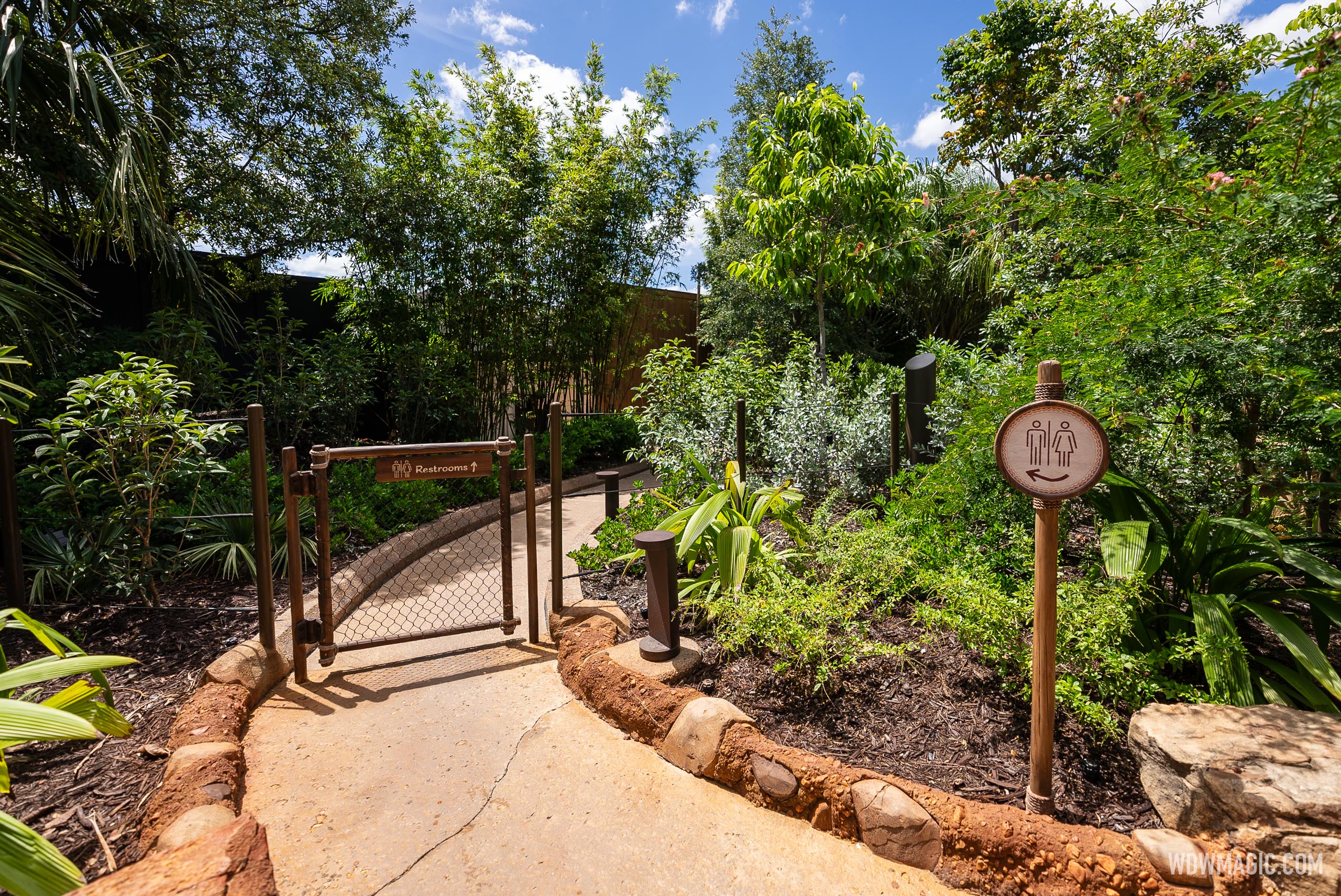 Journey of Water Inspired by Moana overview - Photo 18 of 34