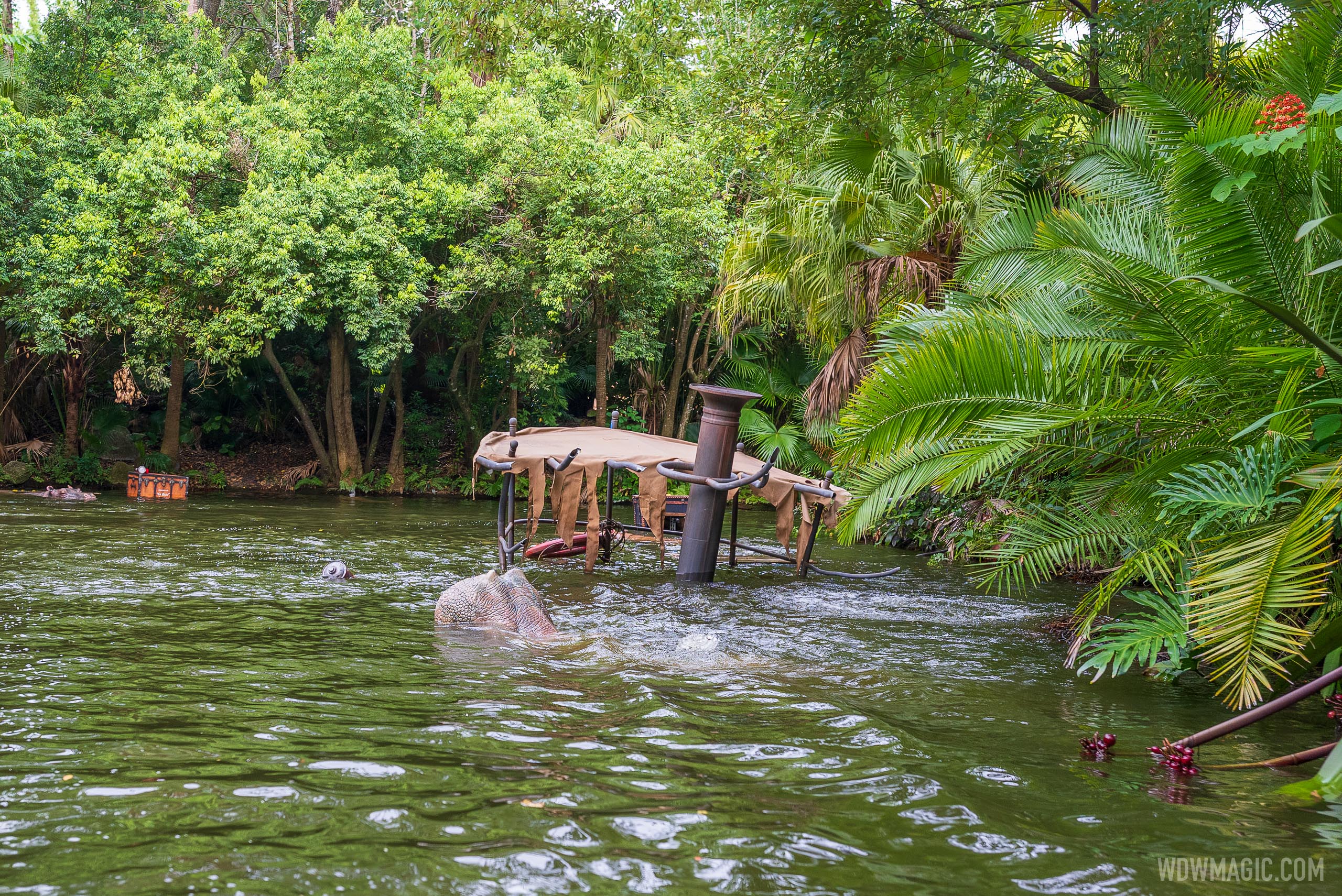 Props added to Jungle Cruise sunken boat scene - Photo 6 of 6