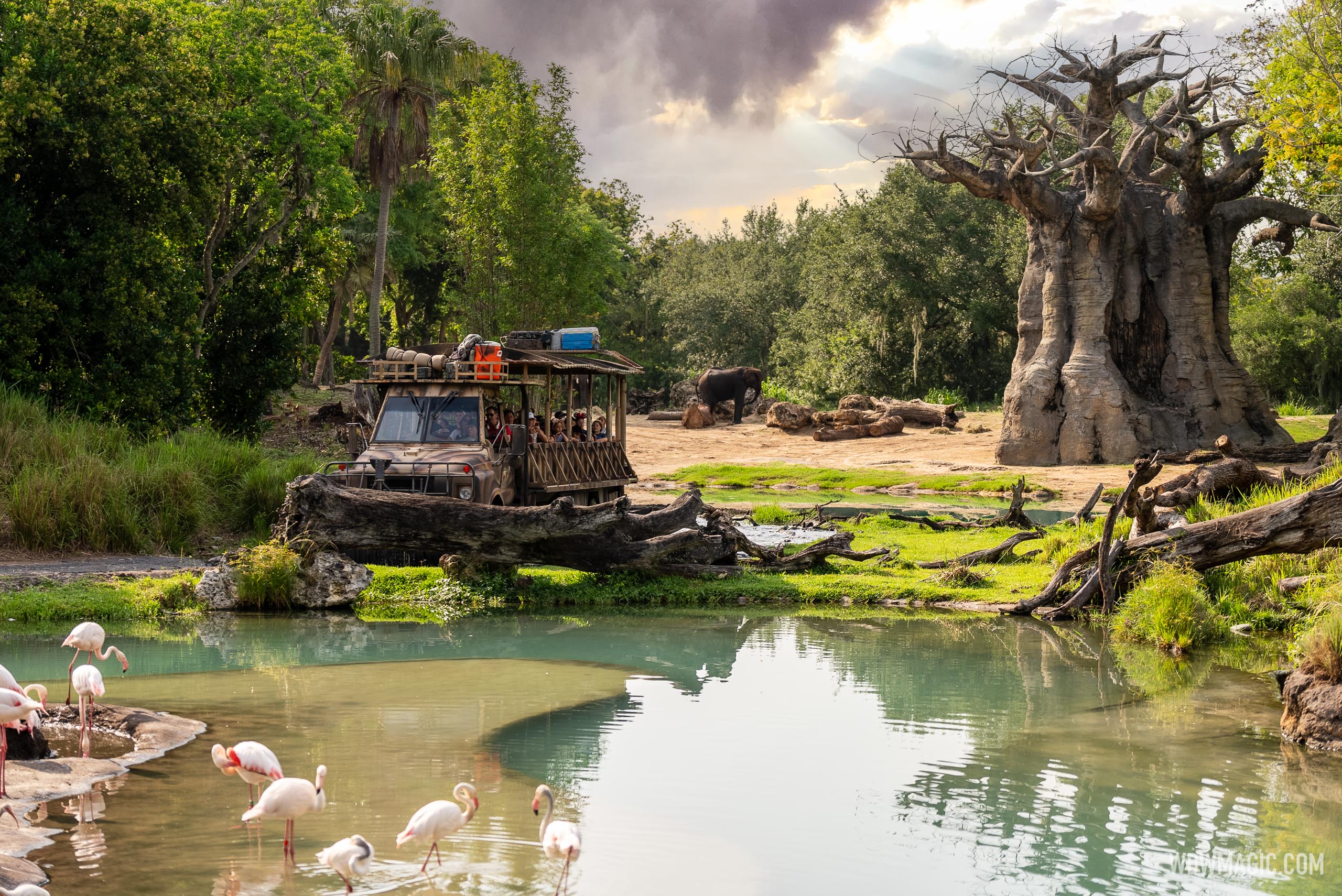 Kilimanjaro Safaris Photos