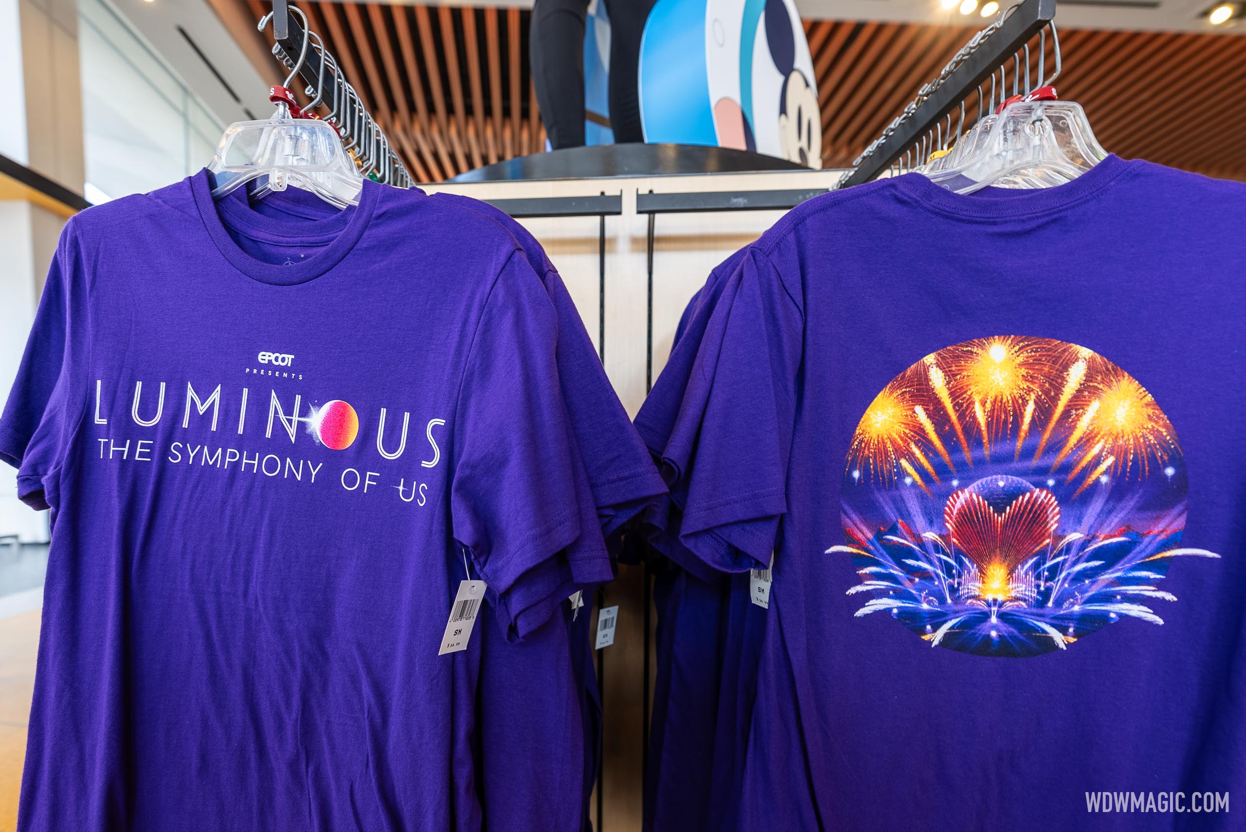 Luminous the Symphony of Us merchandise now available at EPCOT