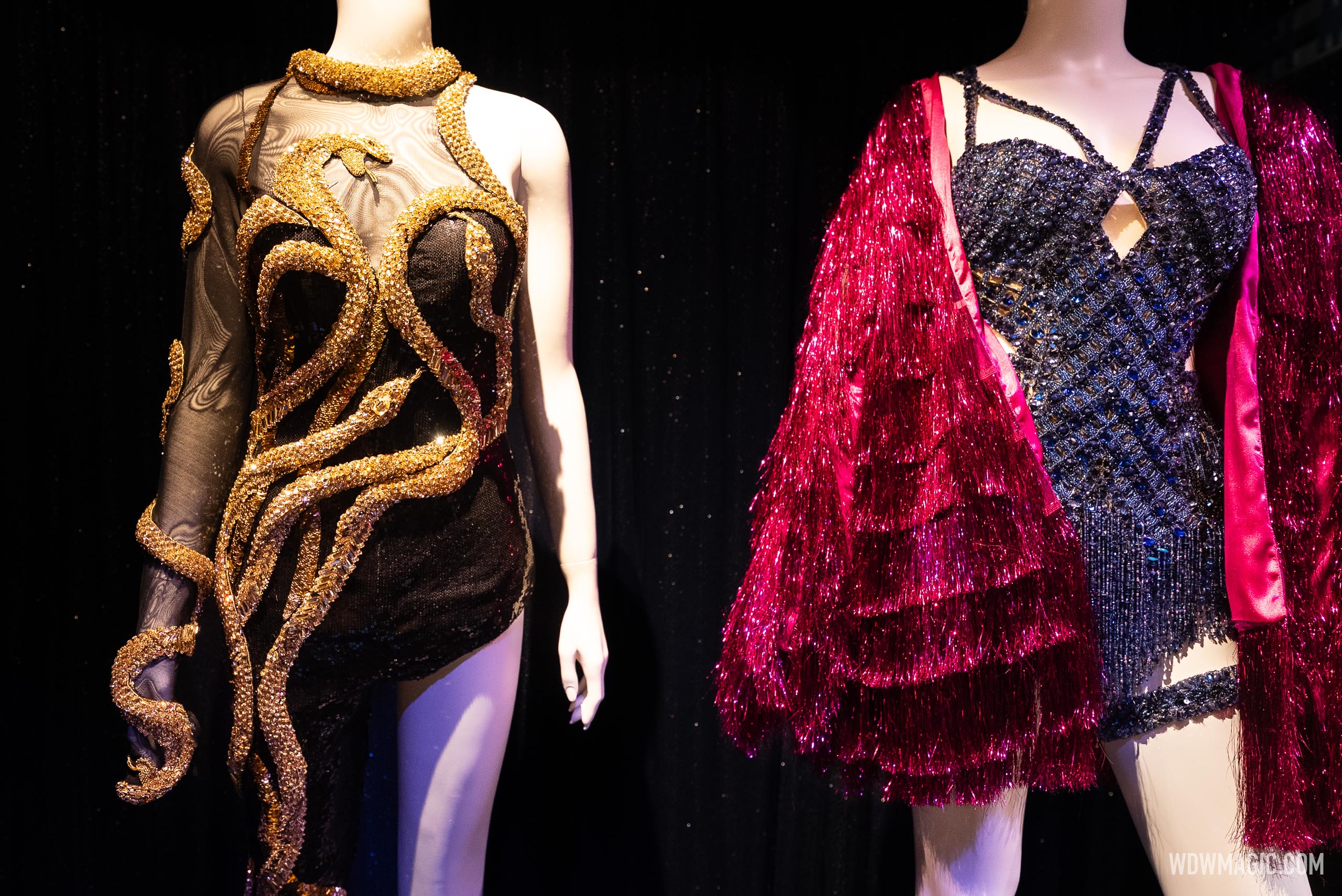 Taylor Swift Eras Tour Costume Exhibit at Walt Disney Presents - Photo ...