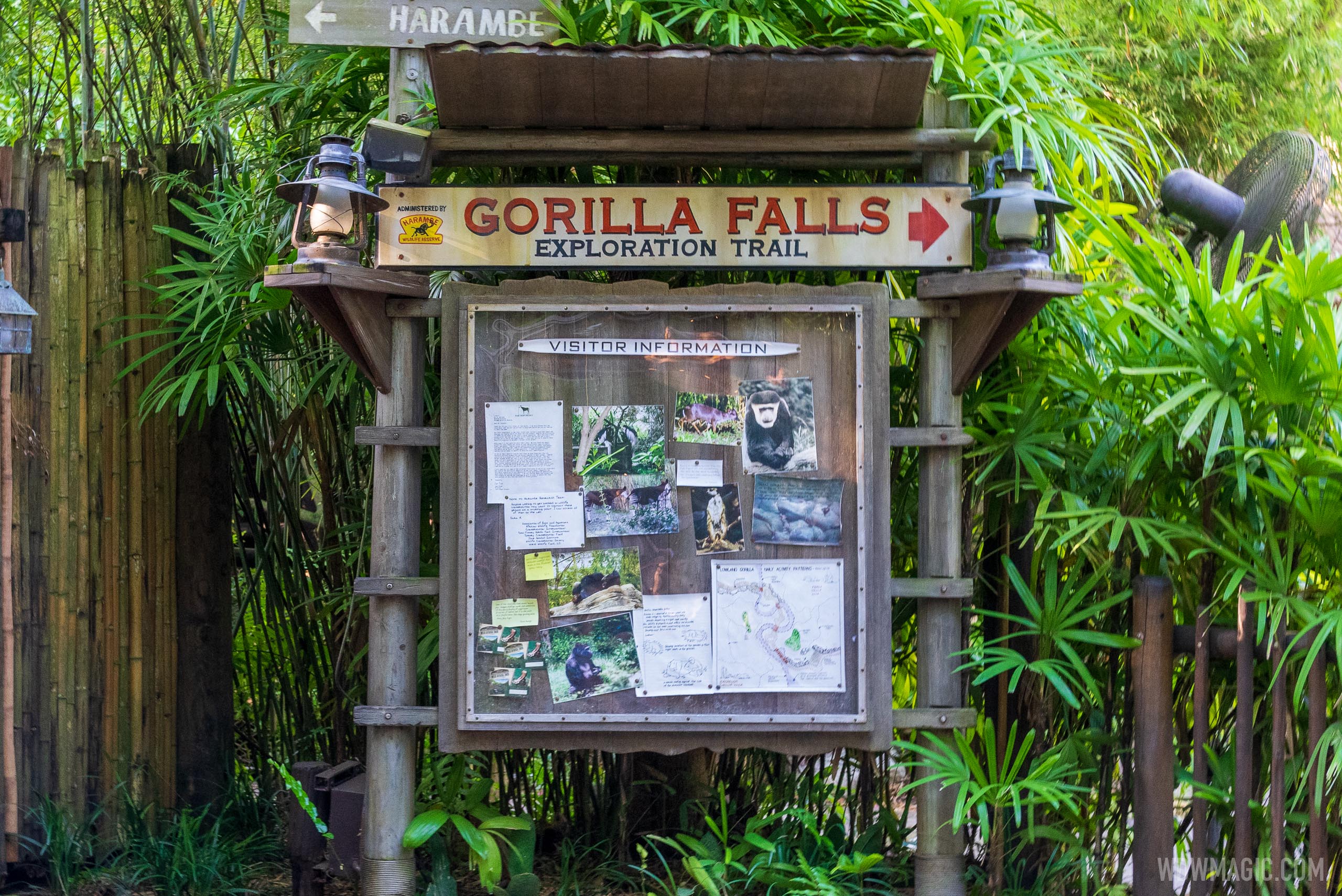 'Gorilla Falls Exploration Trail' renamed to 'Pangani Forest ...