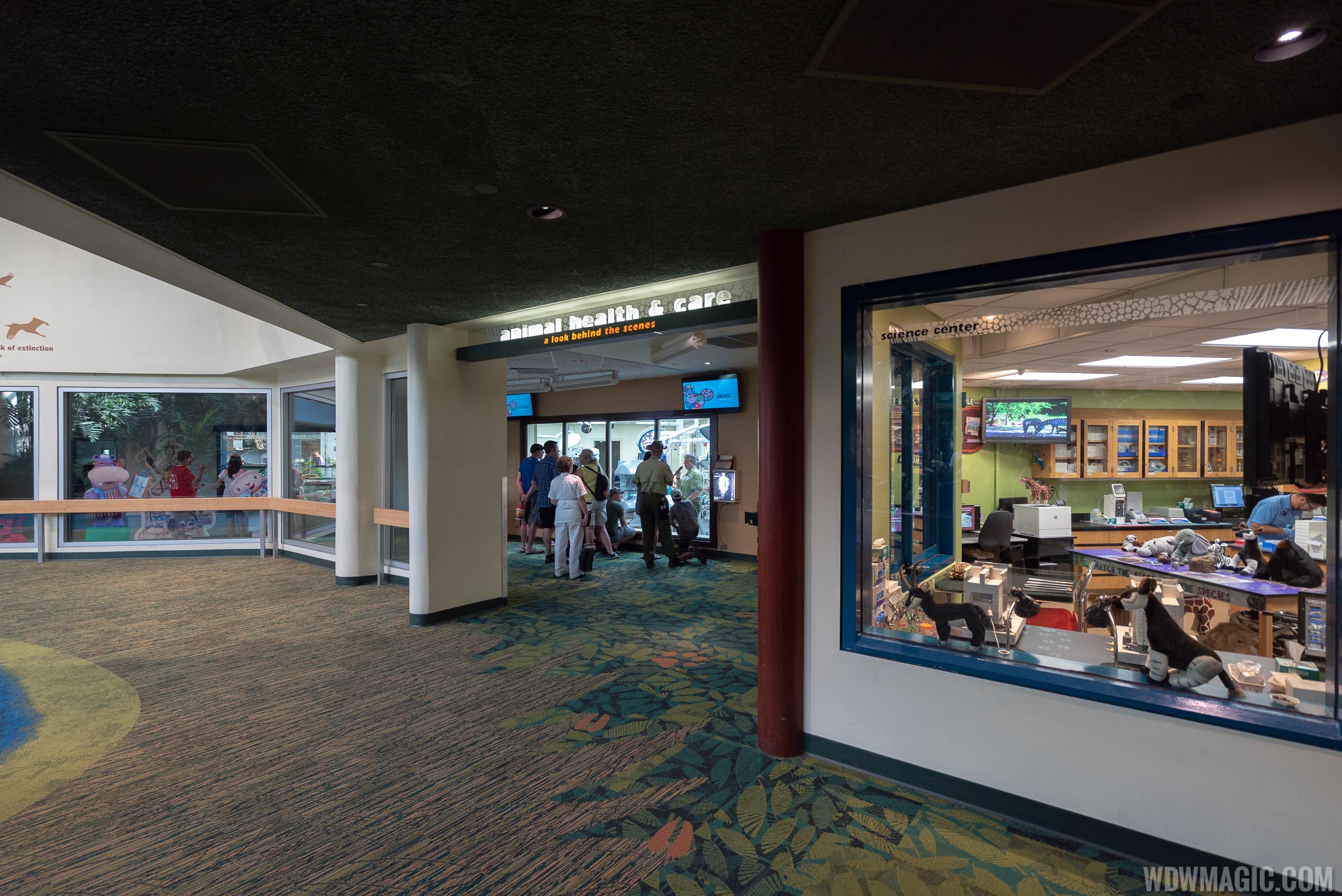 Rafiki's Planet Watch overview - Photo 19 of 40