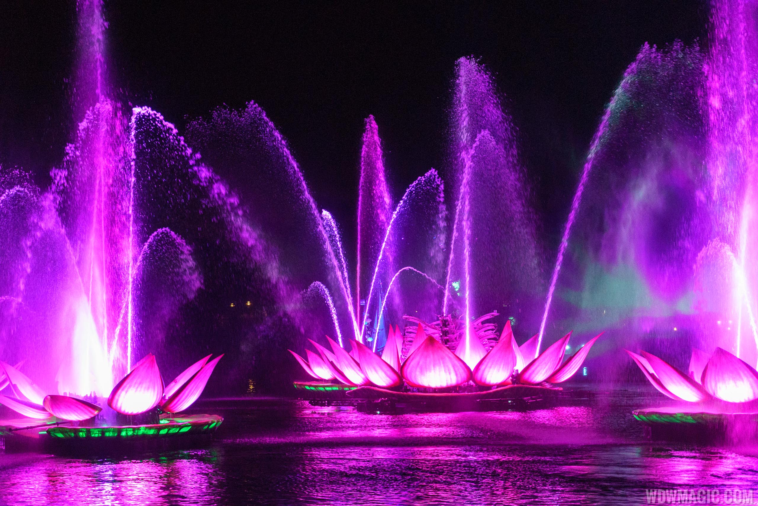 Rivers of Light show - Photo 8 of 21