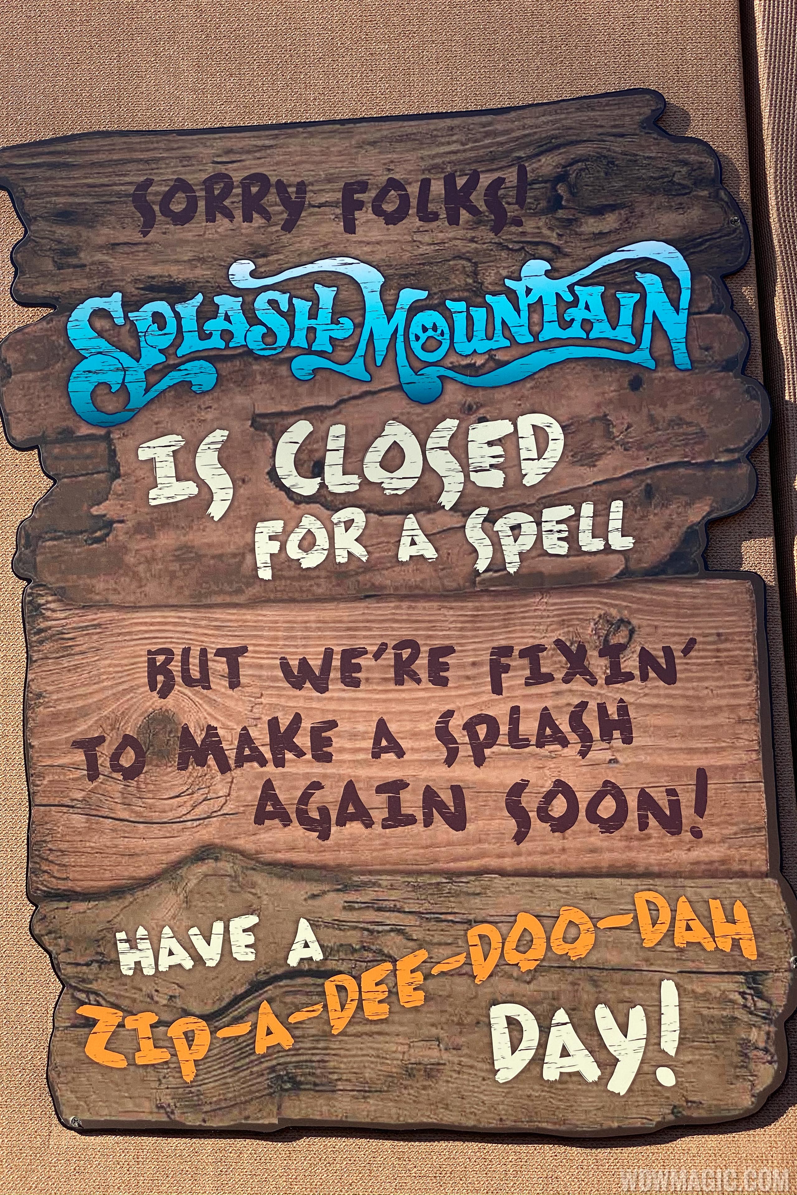Splash Mountain February 2020 refurbishment - Photo 4 of 4