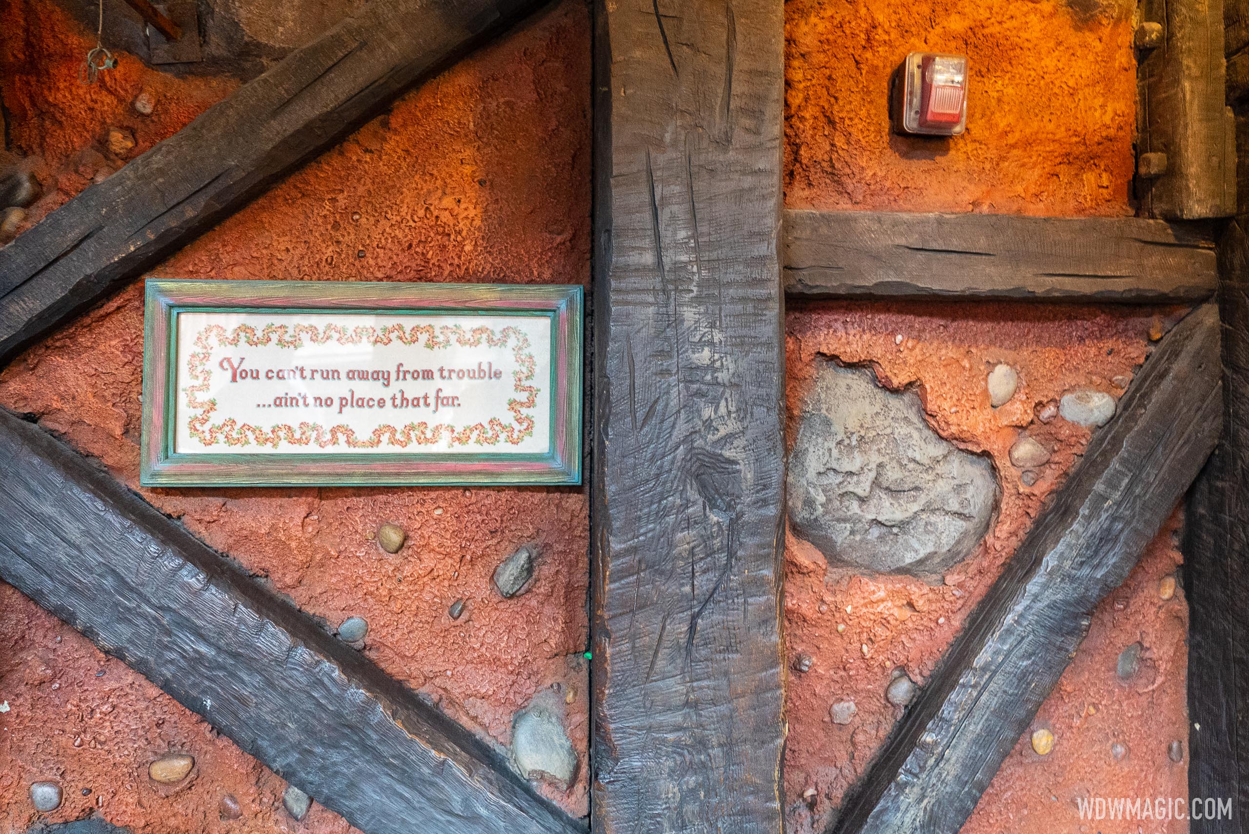 Splash Mountain indoor queue and on-ride - Photo 9 of 59