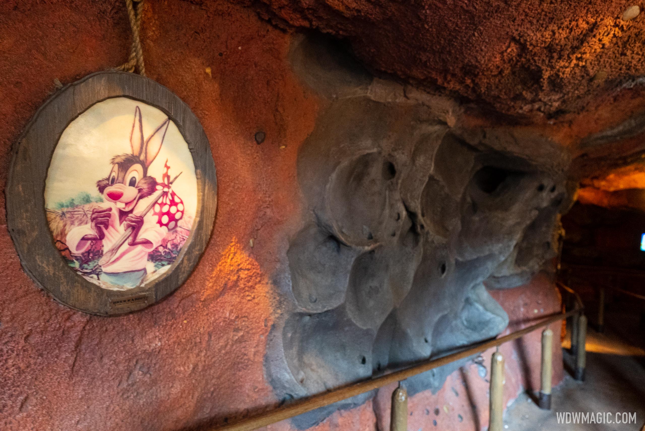 Splash Mountain indoor queue and on-ride - Photo 10 of 59