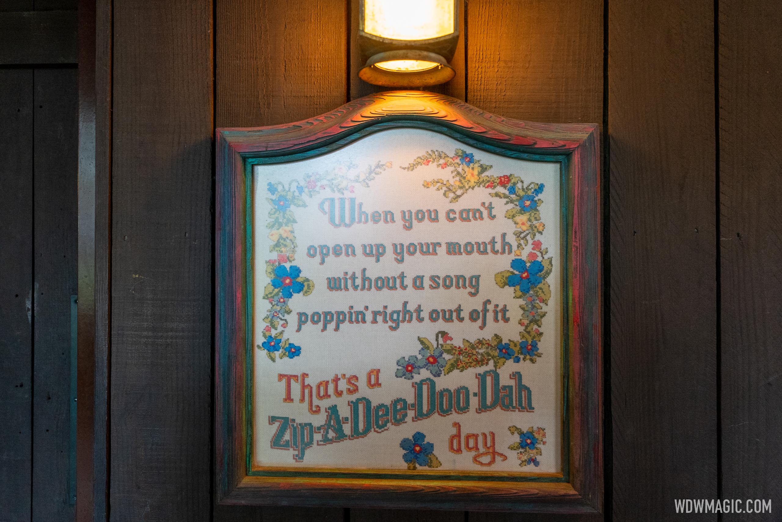 Splash Mountain indoor queue and on-ride - Photo 57 of 59
