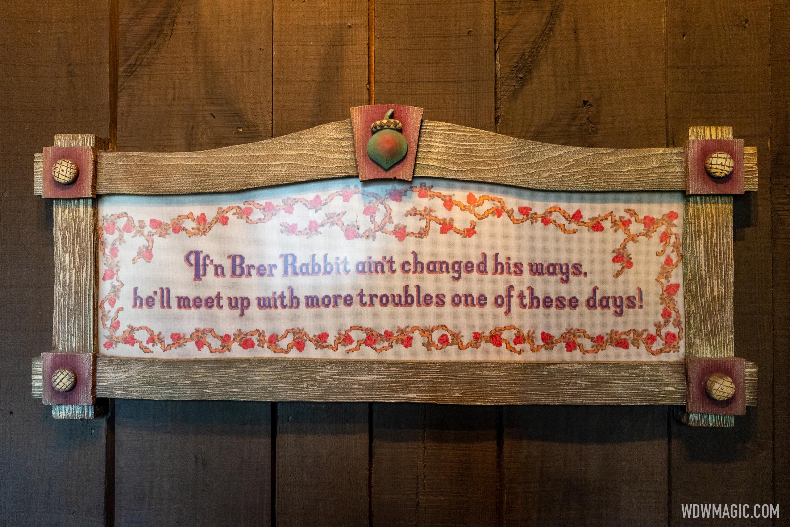 Splash Mountain indoor queue and on-ride - Photo 58 of 59