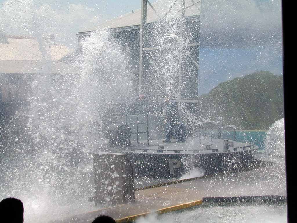 New water effects show - Photo 7 of 7